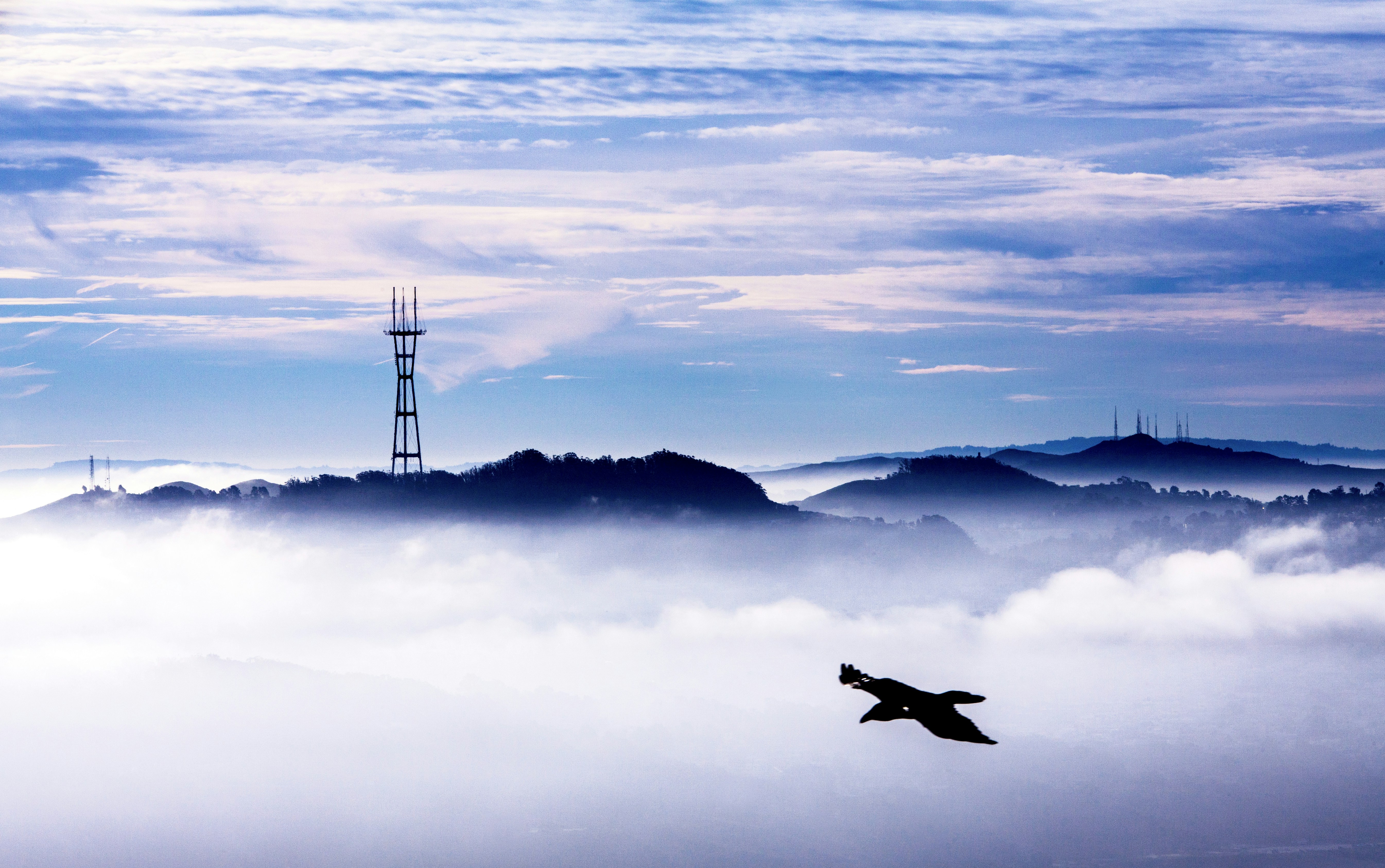 Dawn Falcon Over a Sea of Fog and a Distant Tower
