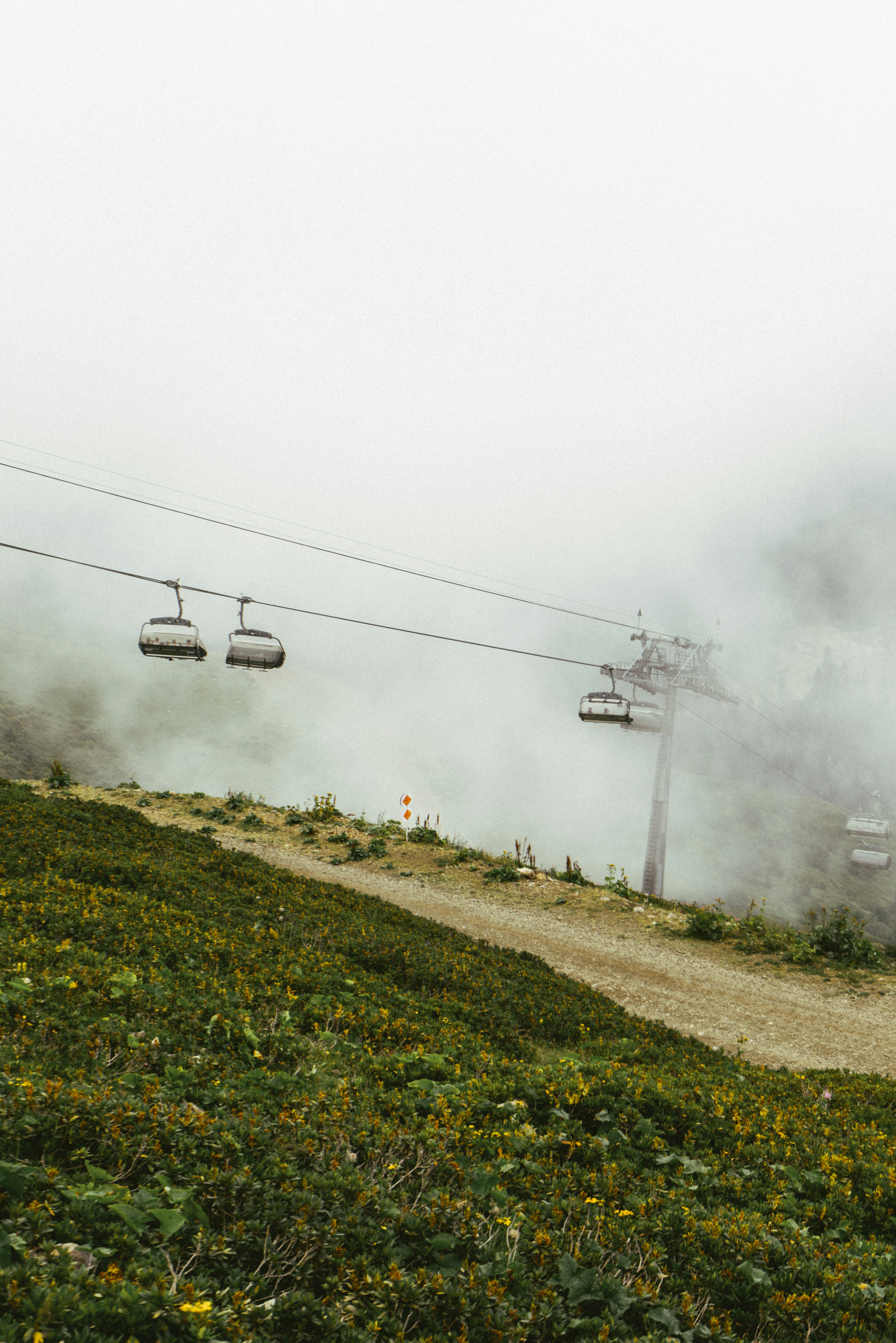Chairlift ascending over a fog-covered hillside with scattered wildflowers.