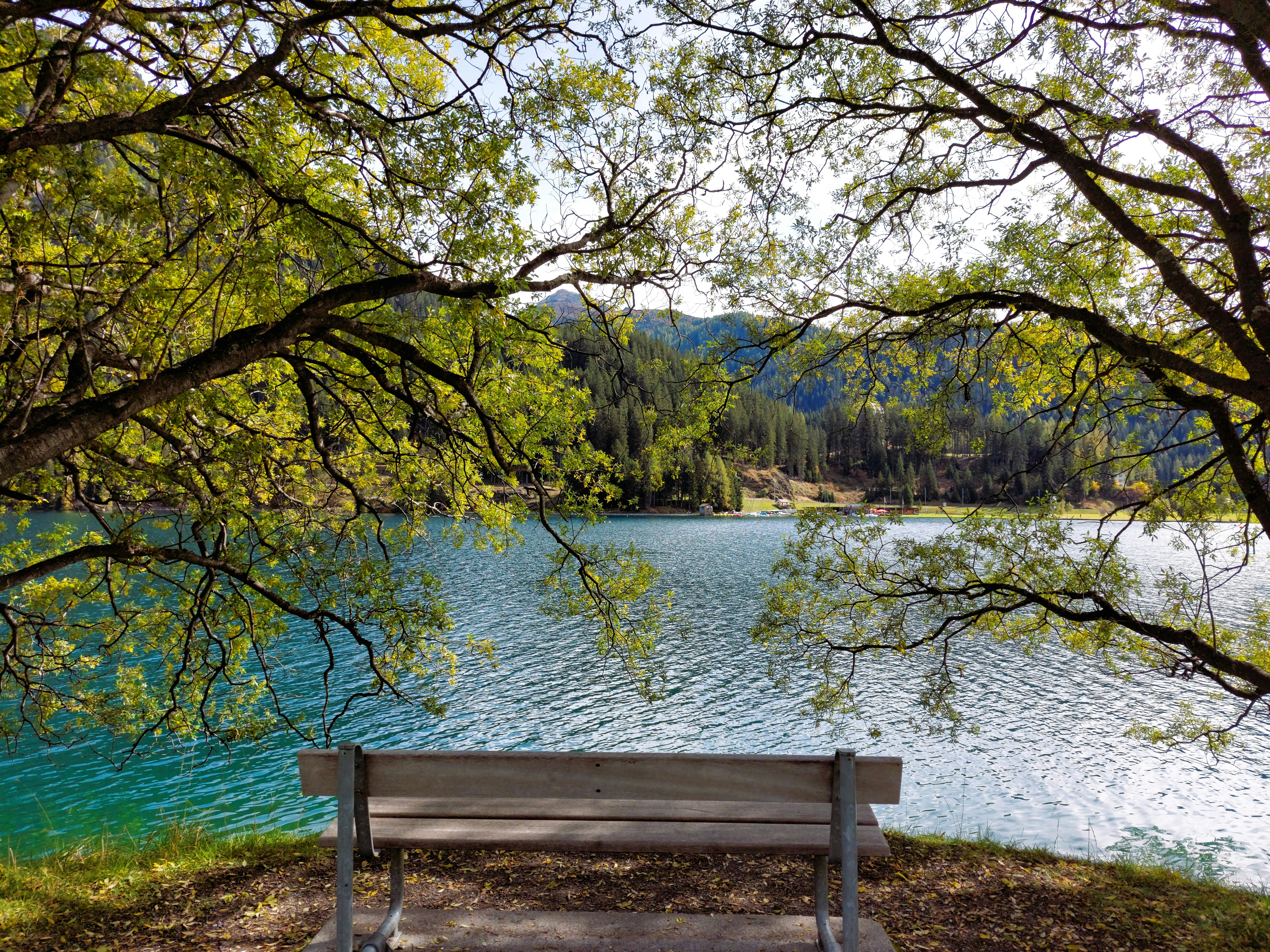 A bench sits by a lake photo – Free Water Image on Unsplash