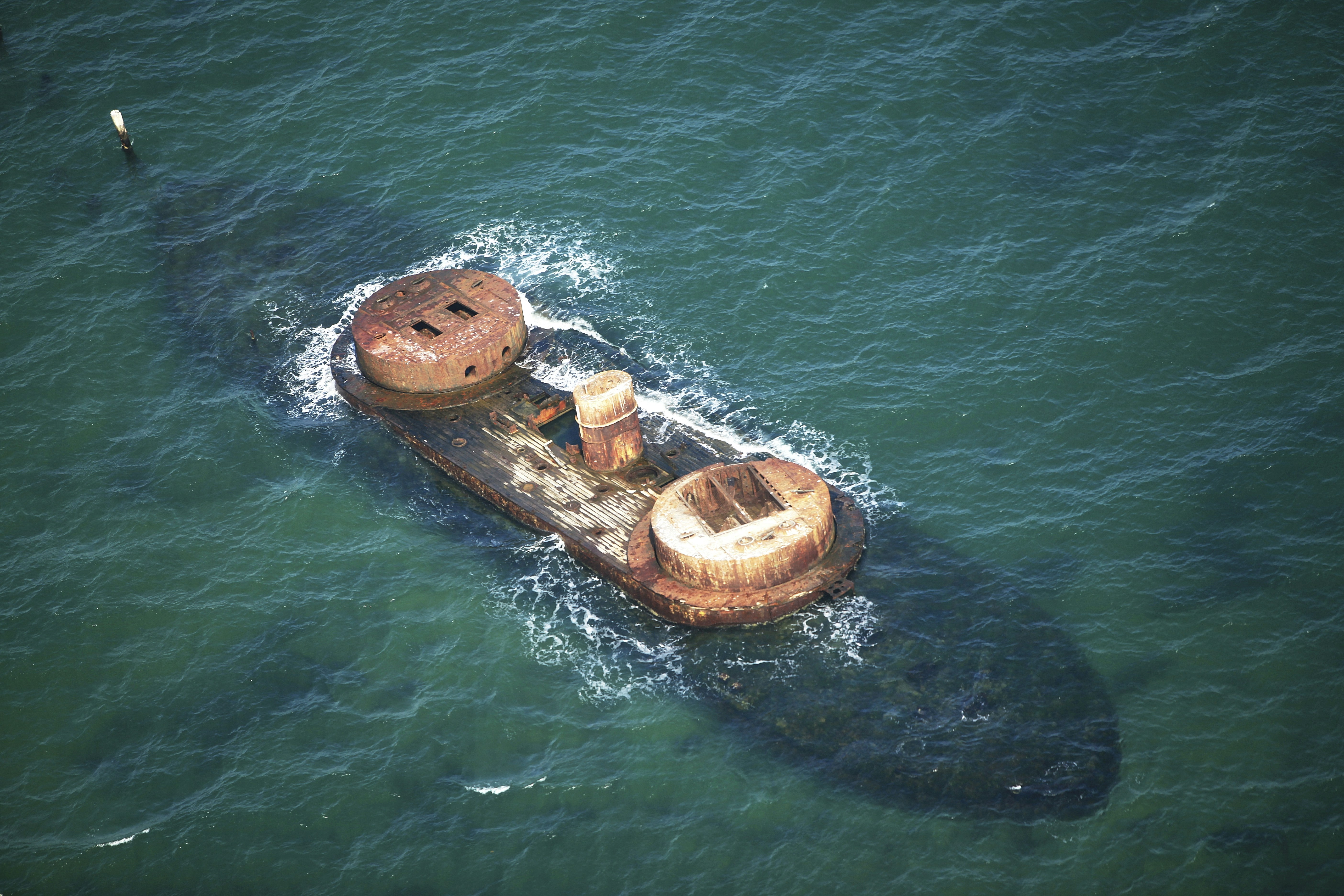 A small boat with a couple of turtles on it photo – Free Melbourne vic ...