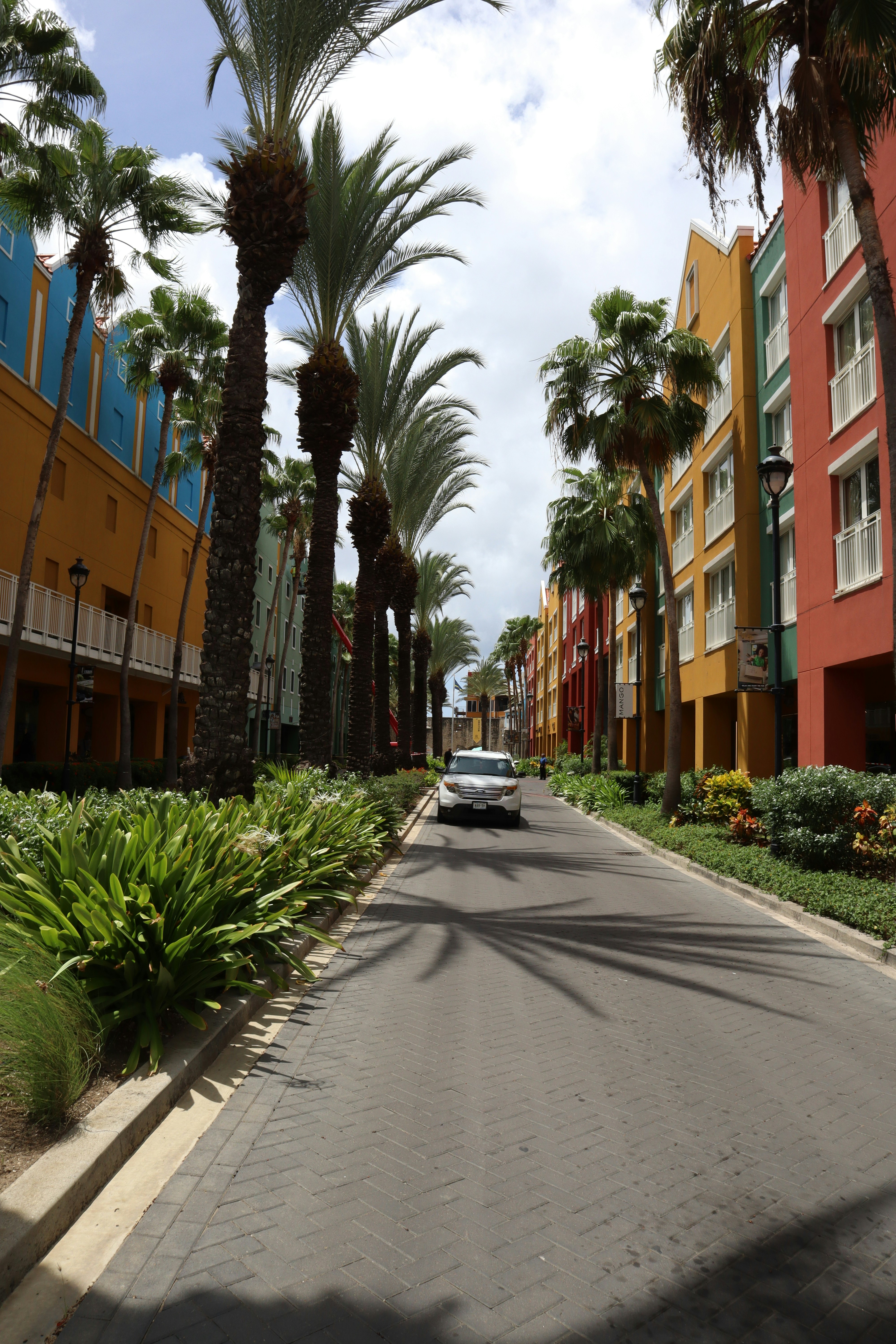 Took this picture when I went to Curaçao this summer