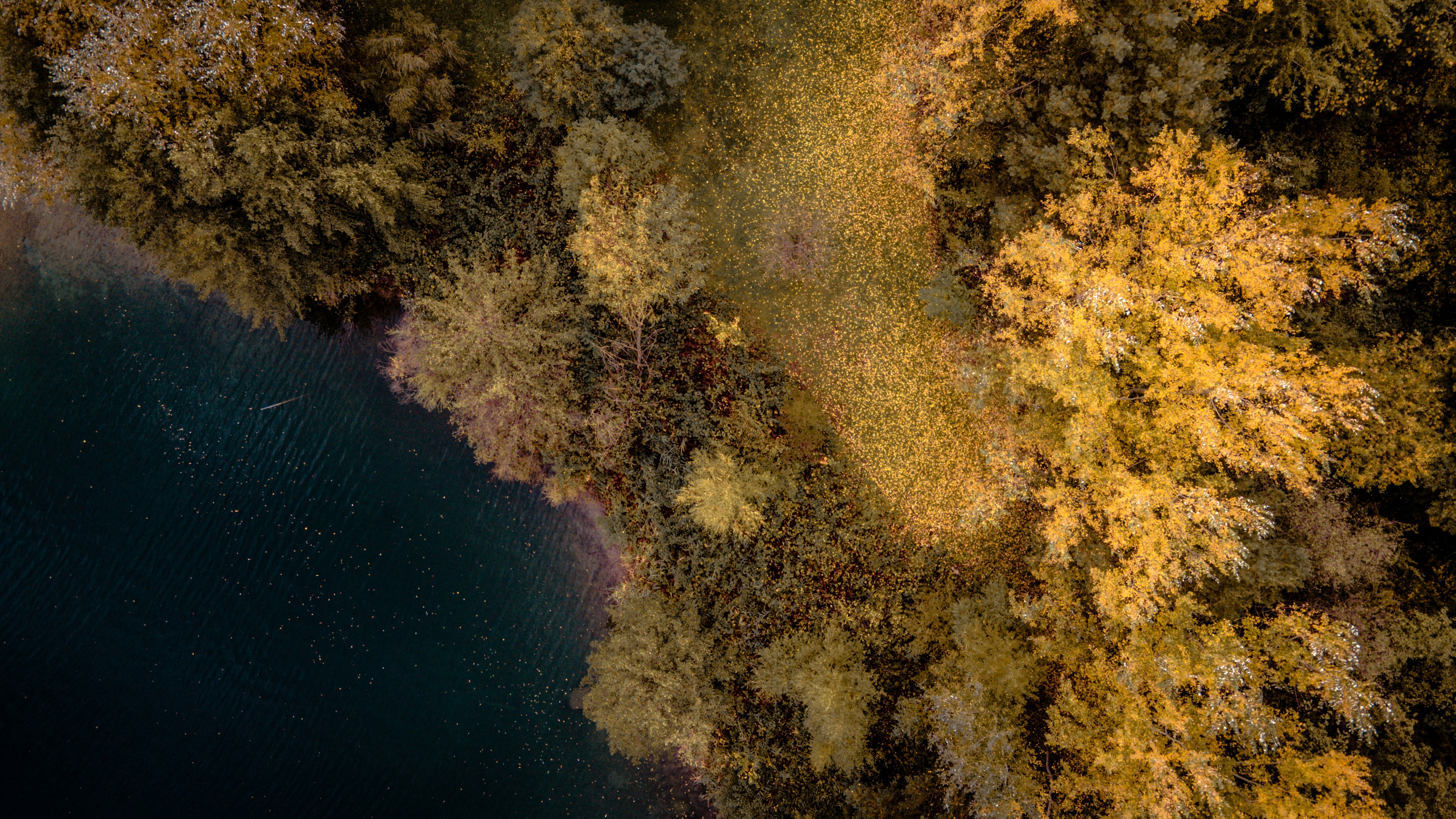 A map of the world photo – Free Nature Image on Unsplash