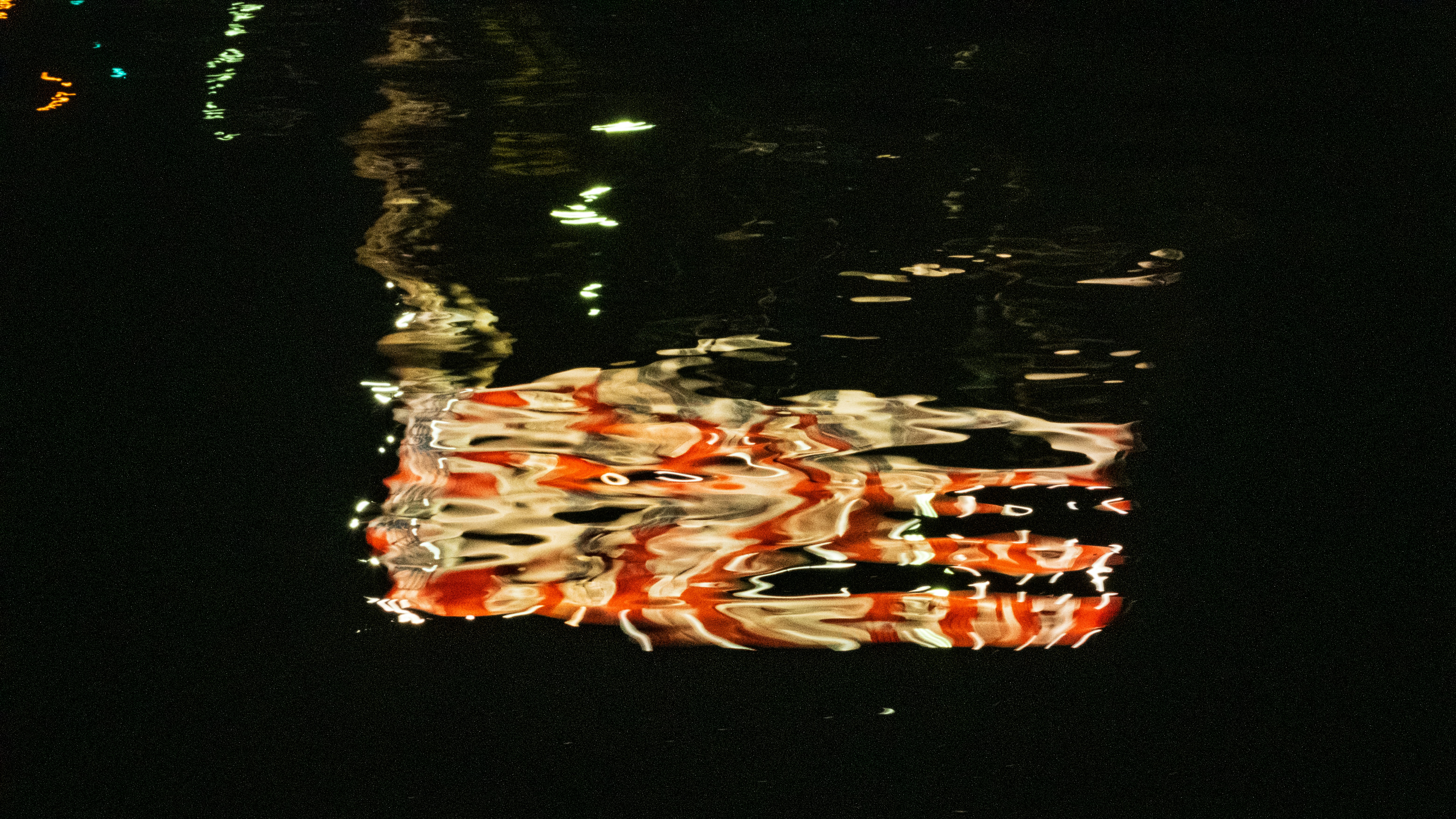 Photo by Nichika Sakurai with Fujifilm X-E4