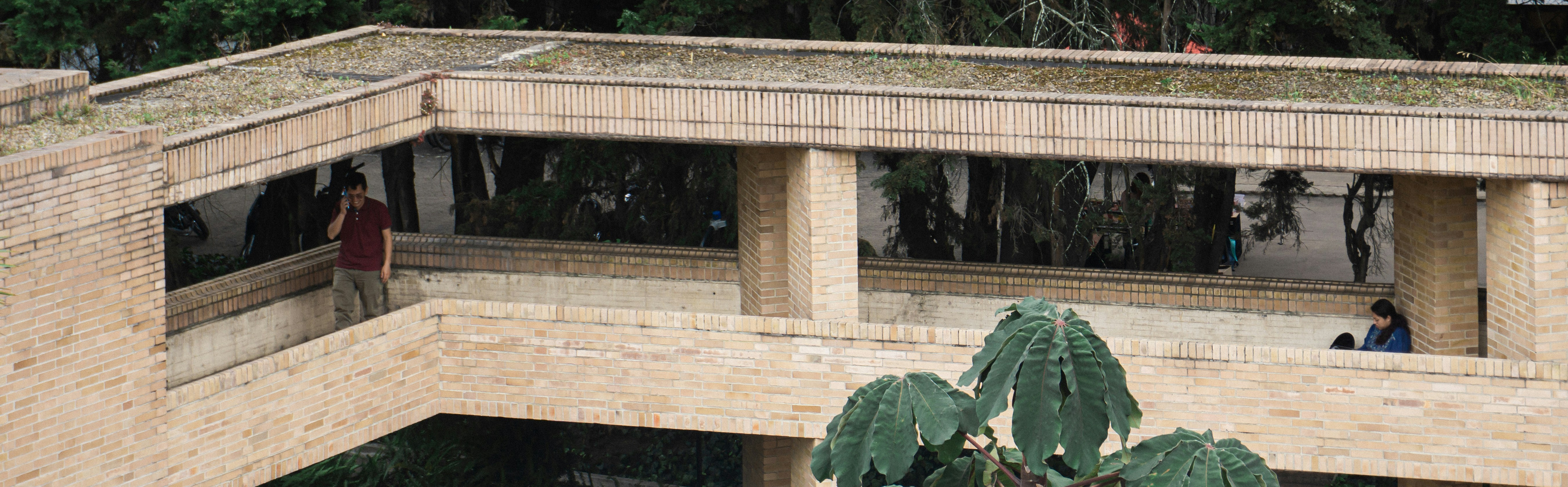 Photo by Sergio Aguirre with Sony Alpha 6000