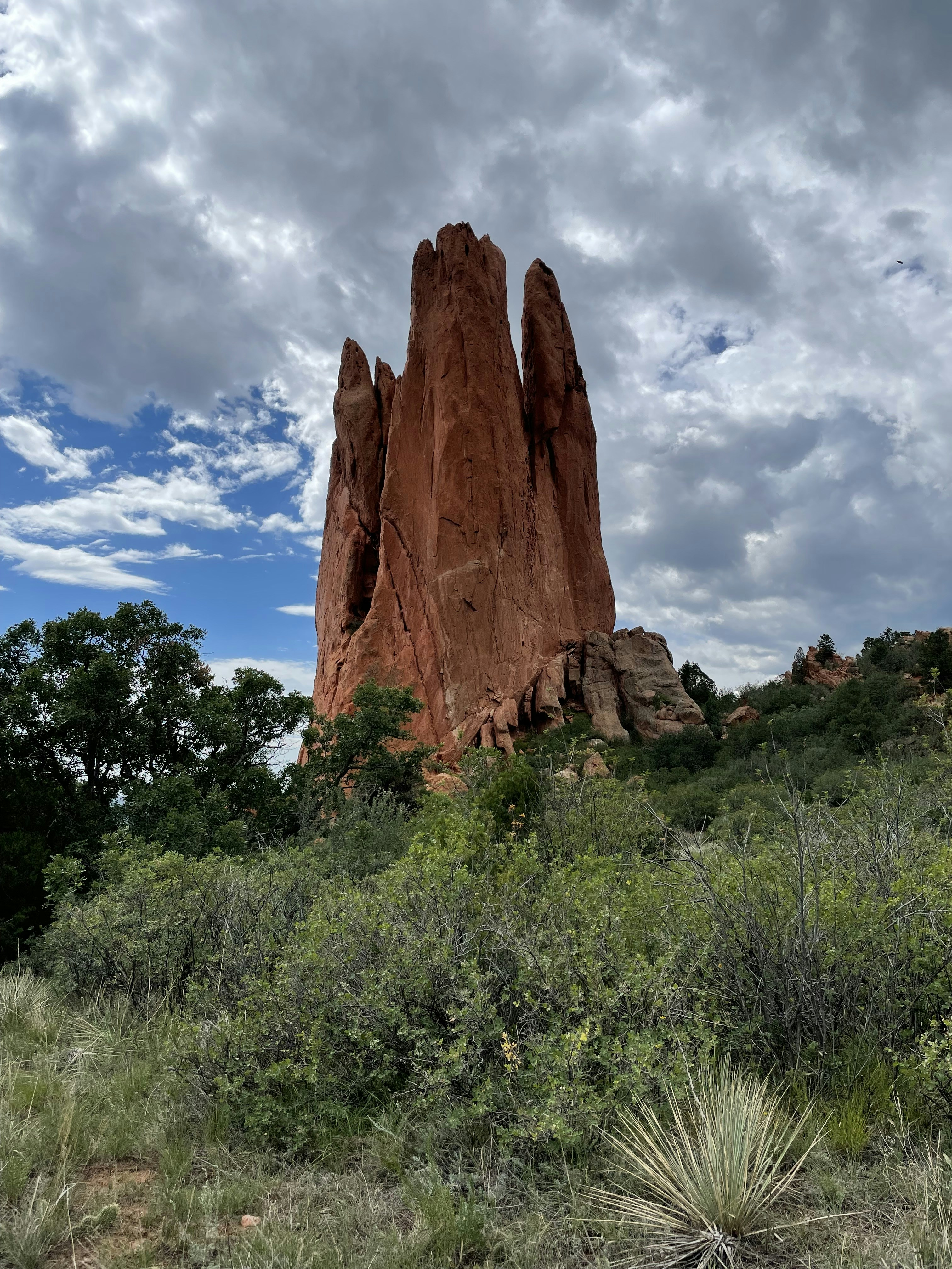 Crimson Sentinels Rising Above the Desert