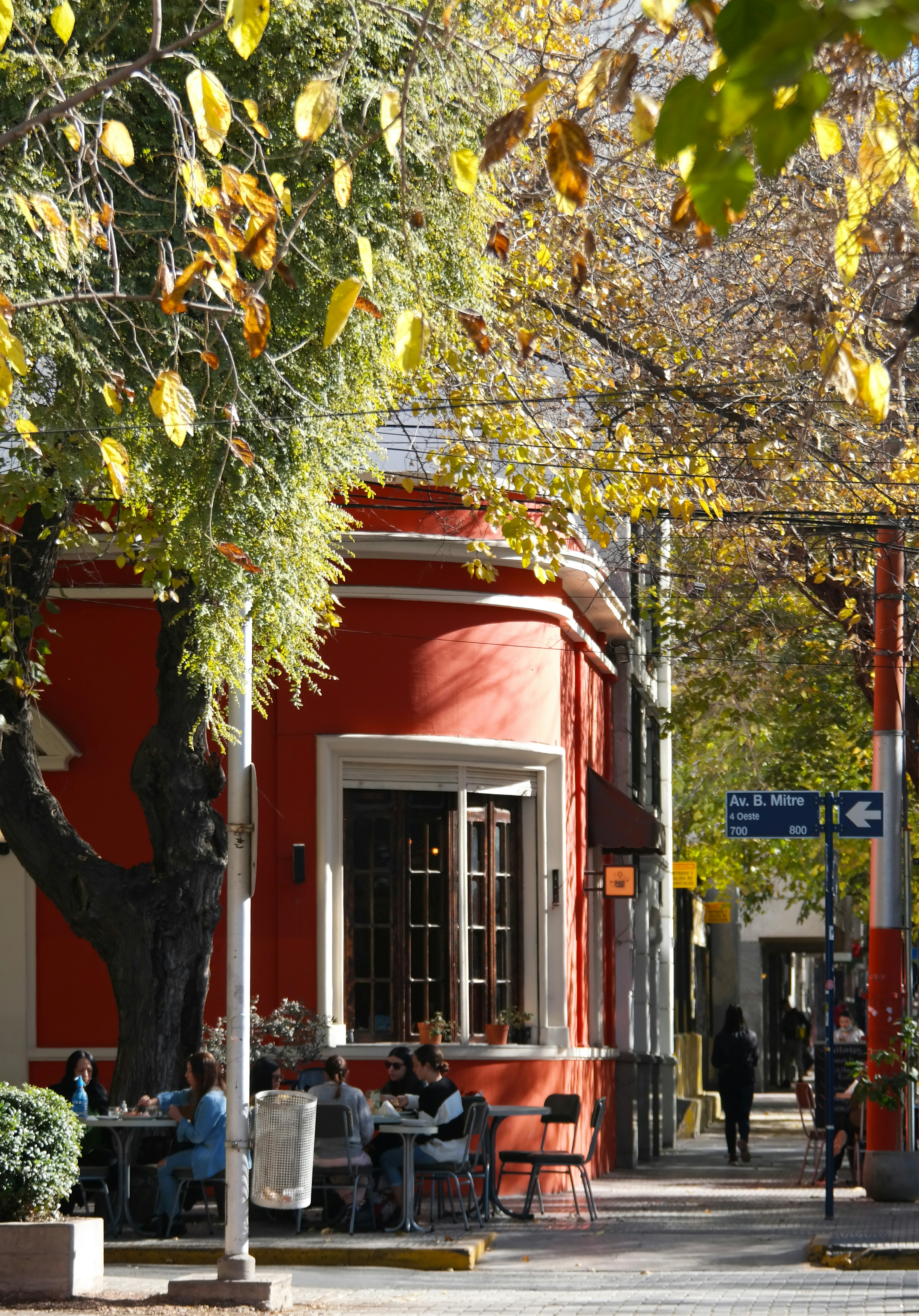 Sunlit Red Corner Café Beneath Autumn Canopy
