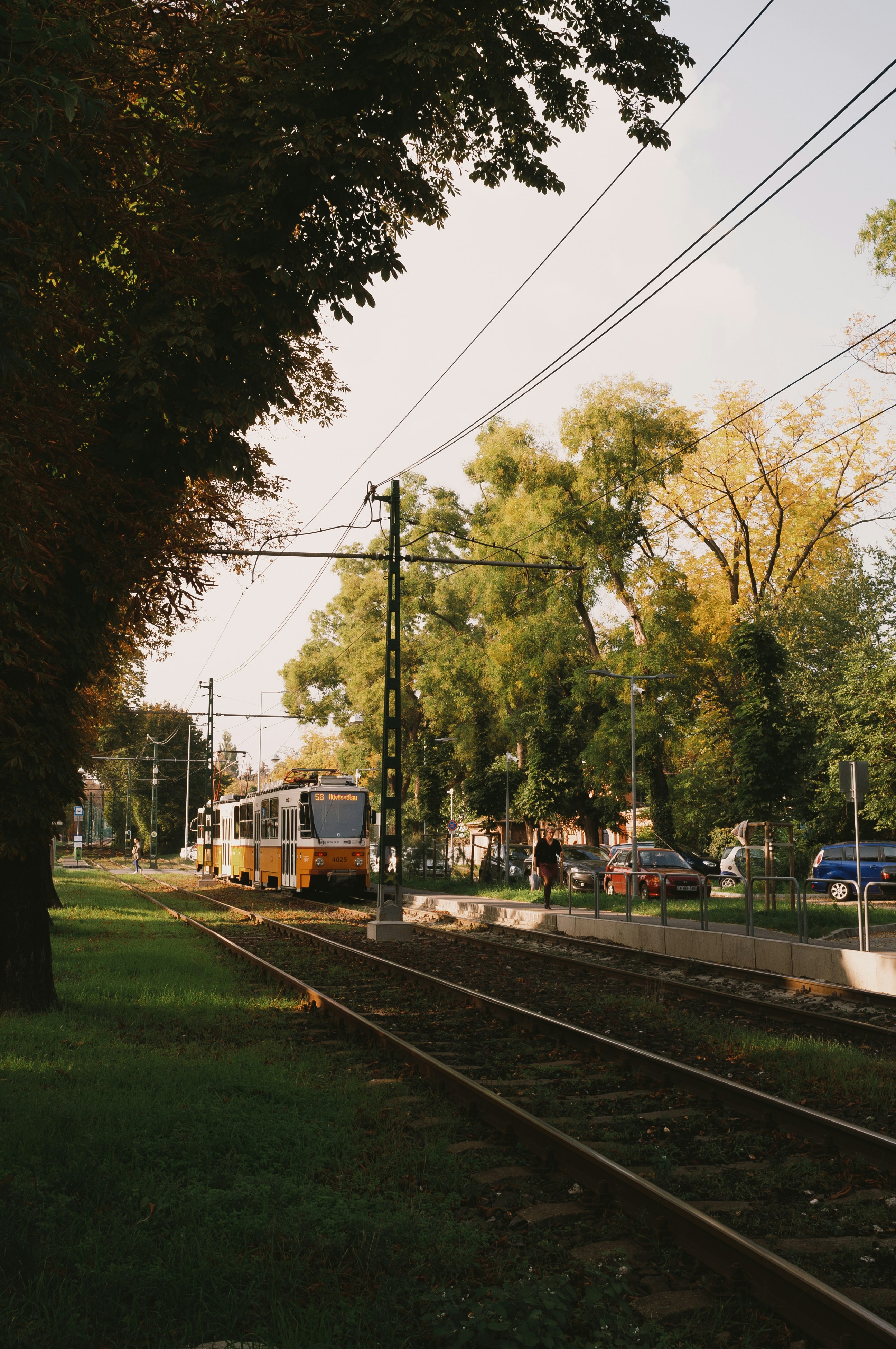 Tram gliding along tracks bordered by lush trees and city life. A blend of urban infrastructure and natural beauty.