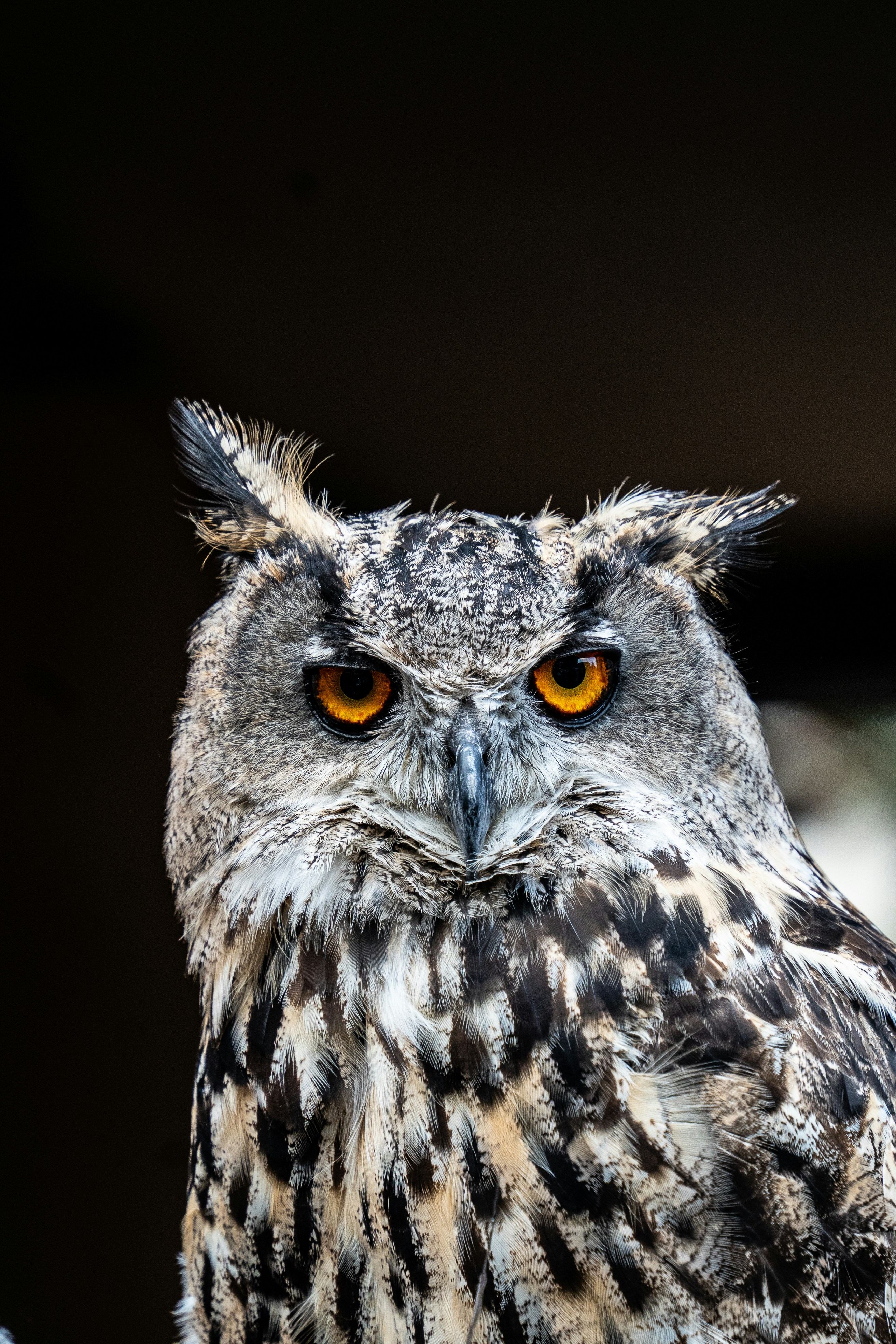 James Frewin (@jamesfrewin) | Komunitas Foto Unsplash