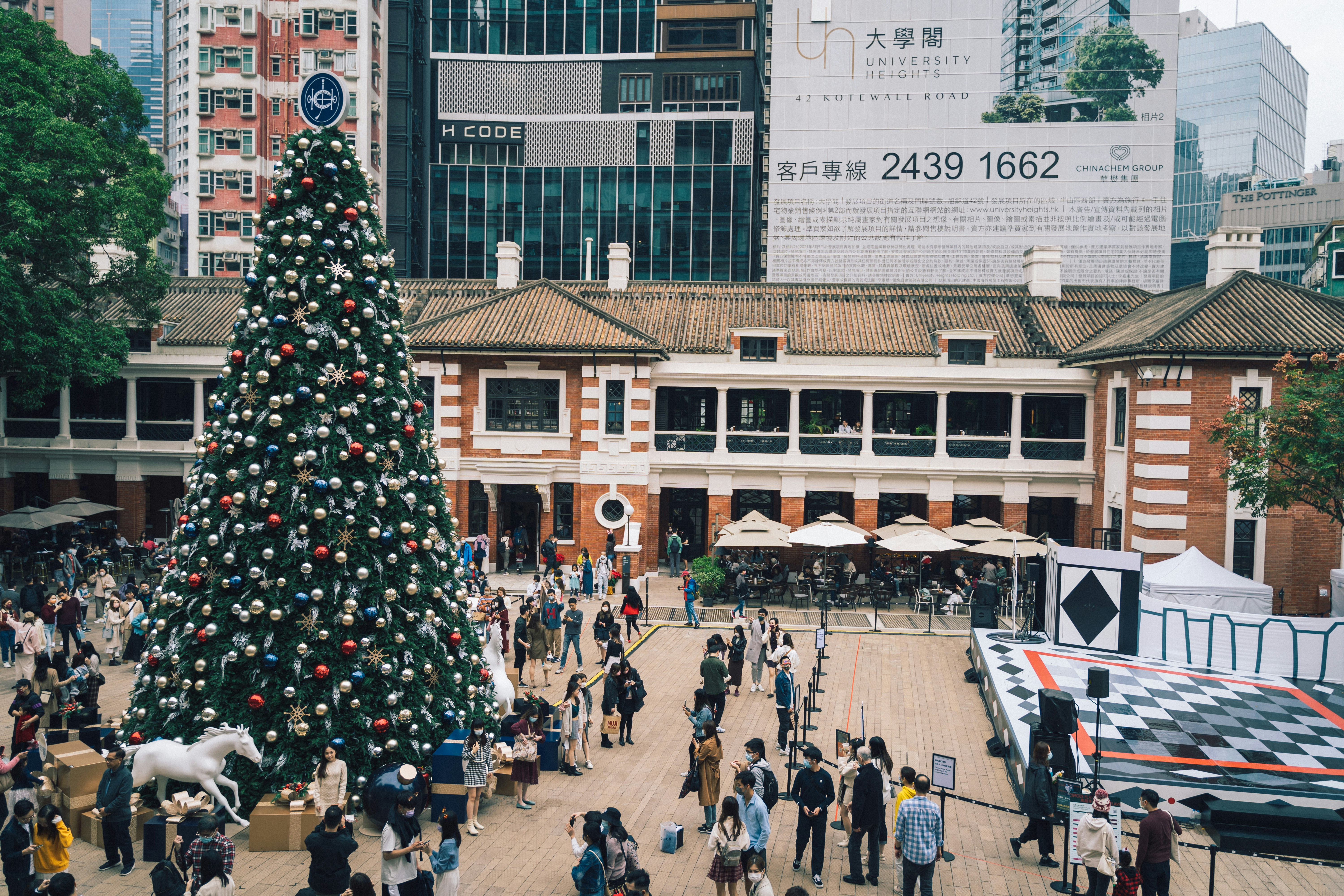 A large crowd of people outside a building with a christmas tree photo ...