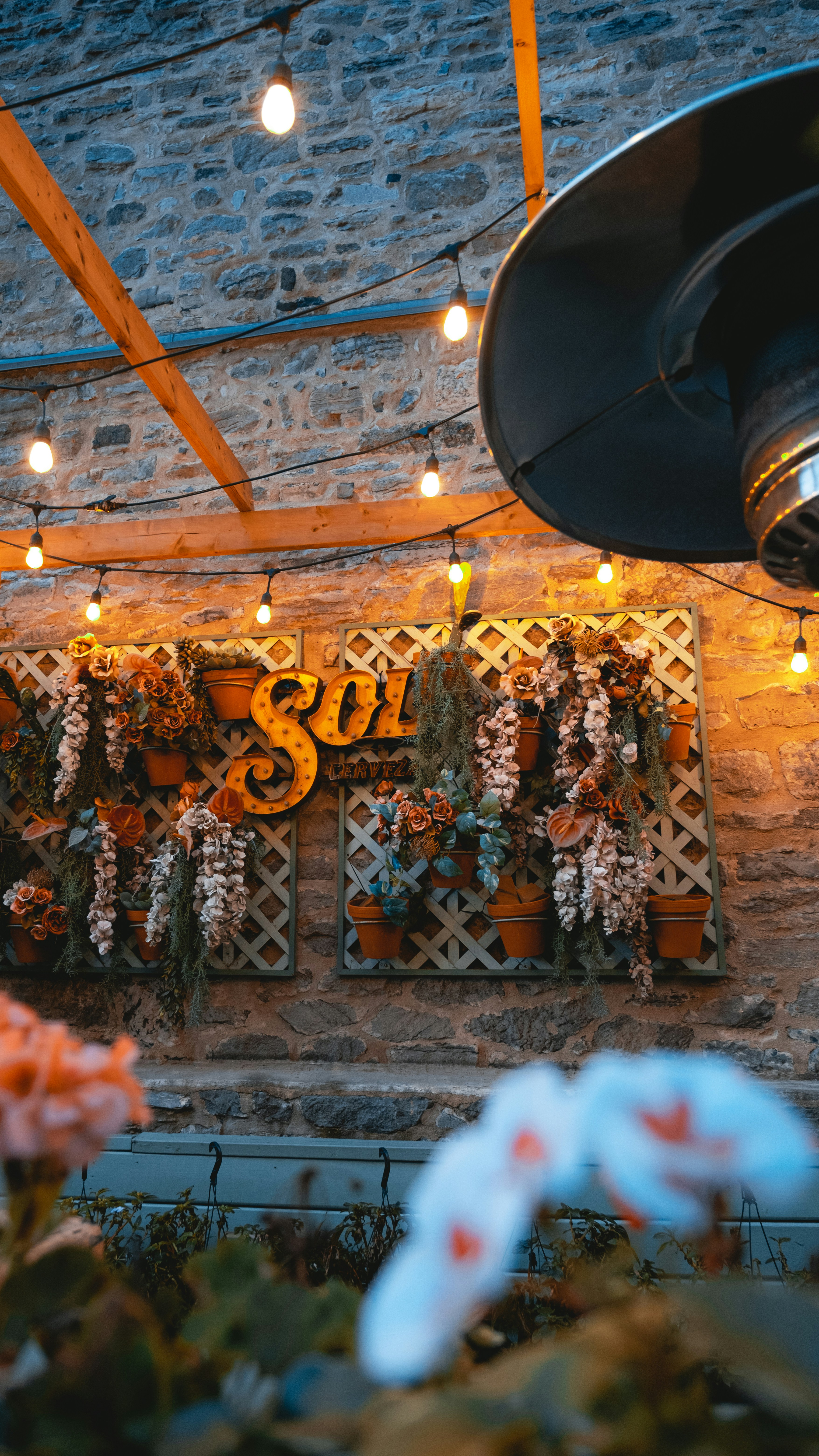 Warm Glow Over a Rustic Floral Wall