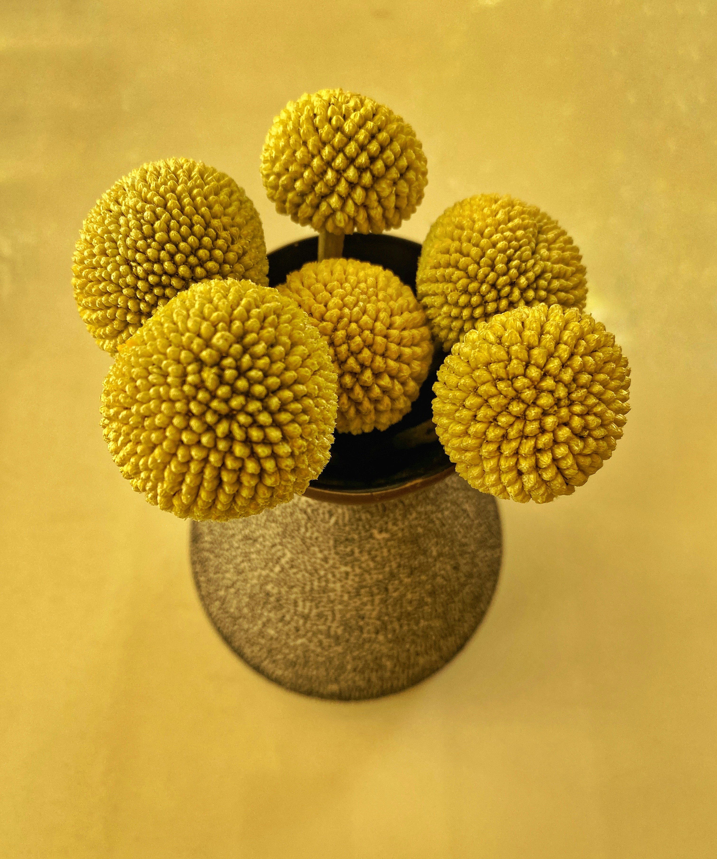 Sunlit Pom-Pom Bouquet in a Textured Vase