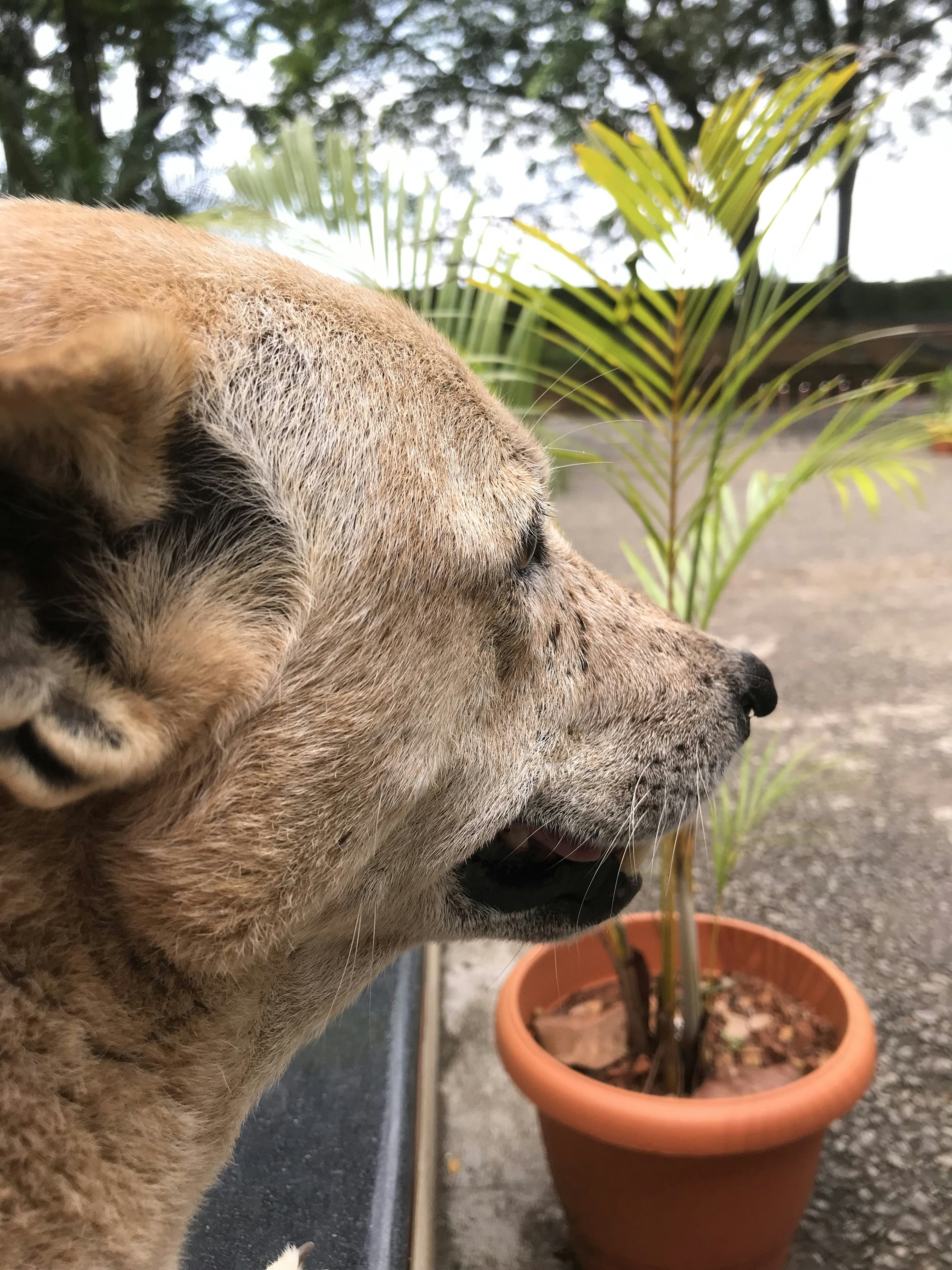 Photo by Suyash Panwar with Apple iPhone 7