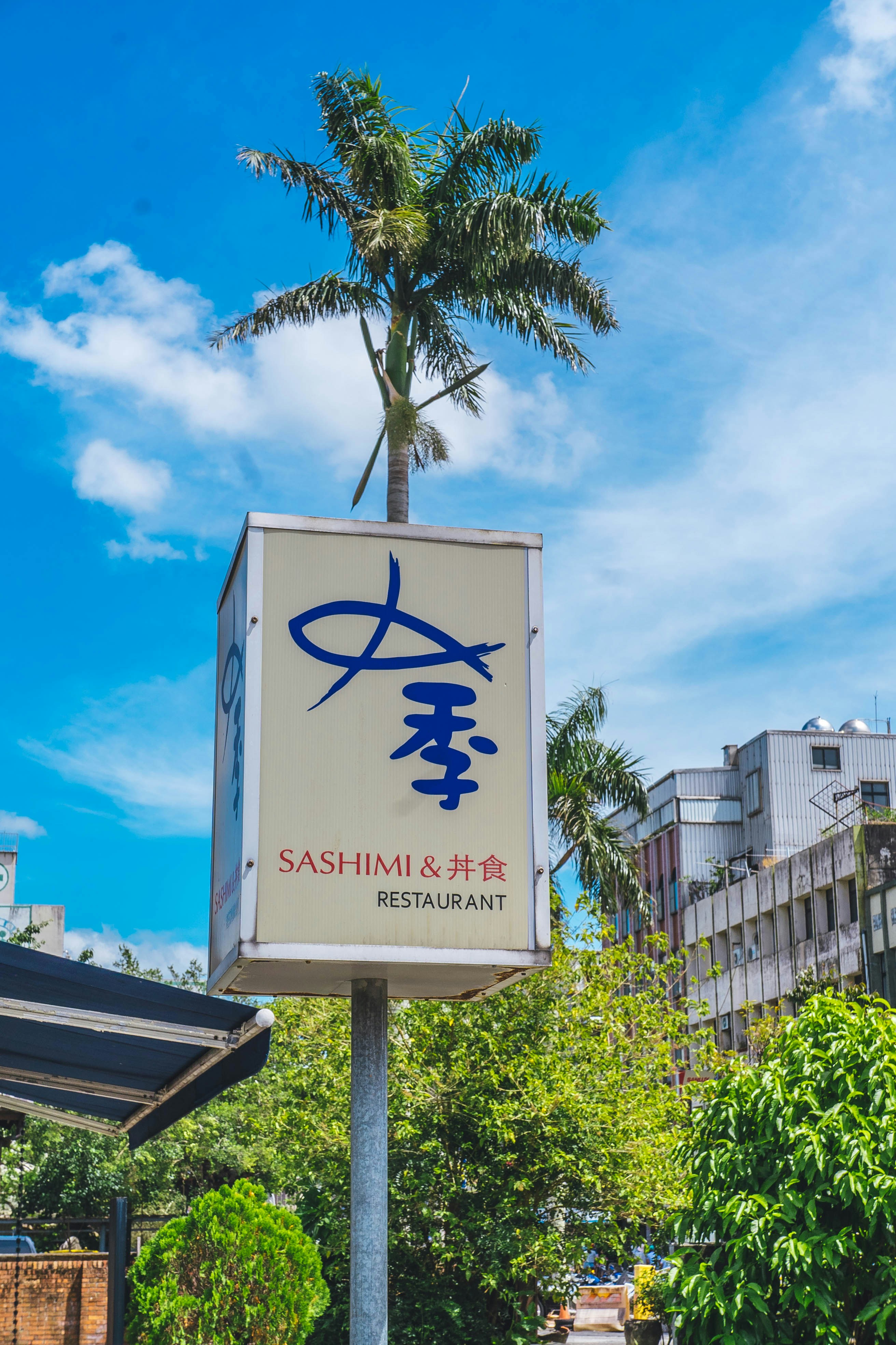 Signpost to Savor: A Coastal City Sashimi Sign Against a Palm-Splashed Sky