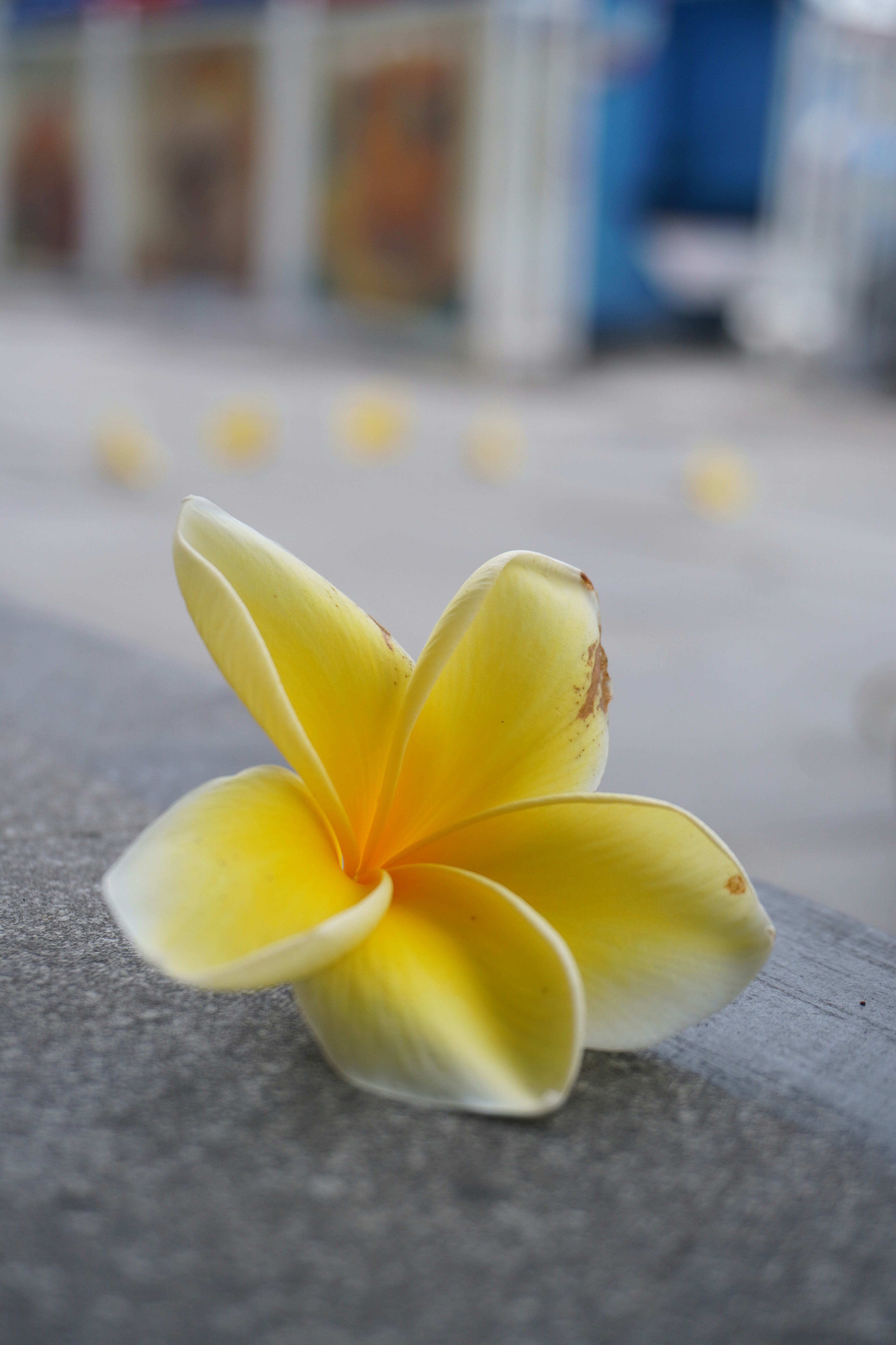 prawito hudoro (@prawitohudoro) | Comunidad de fotos de Unsplash