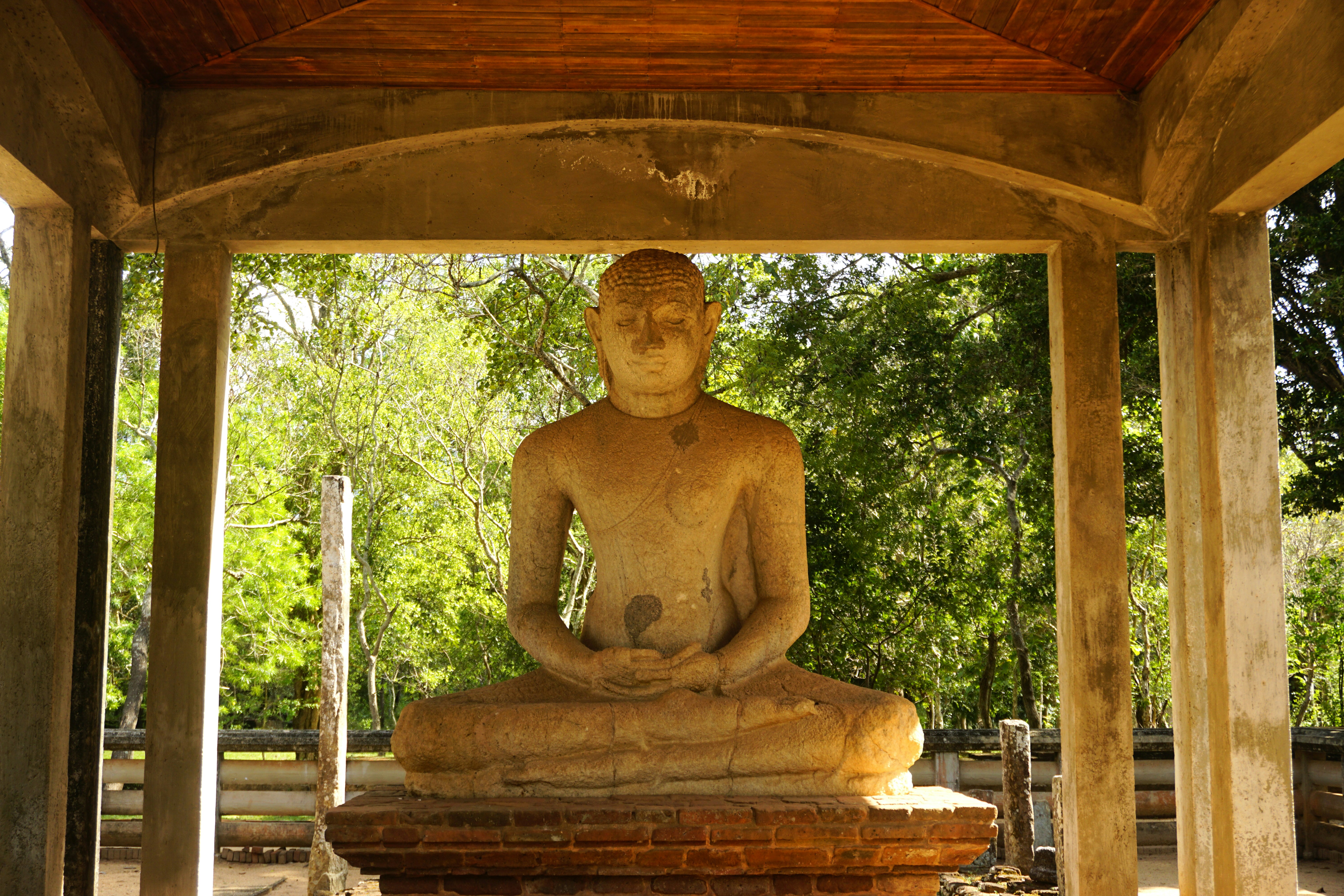 Serenity Under the Pavilion