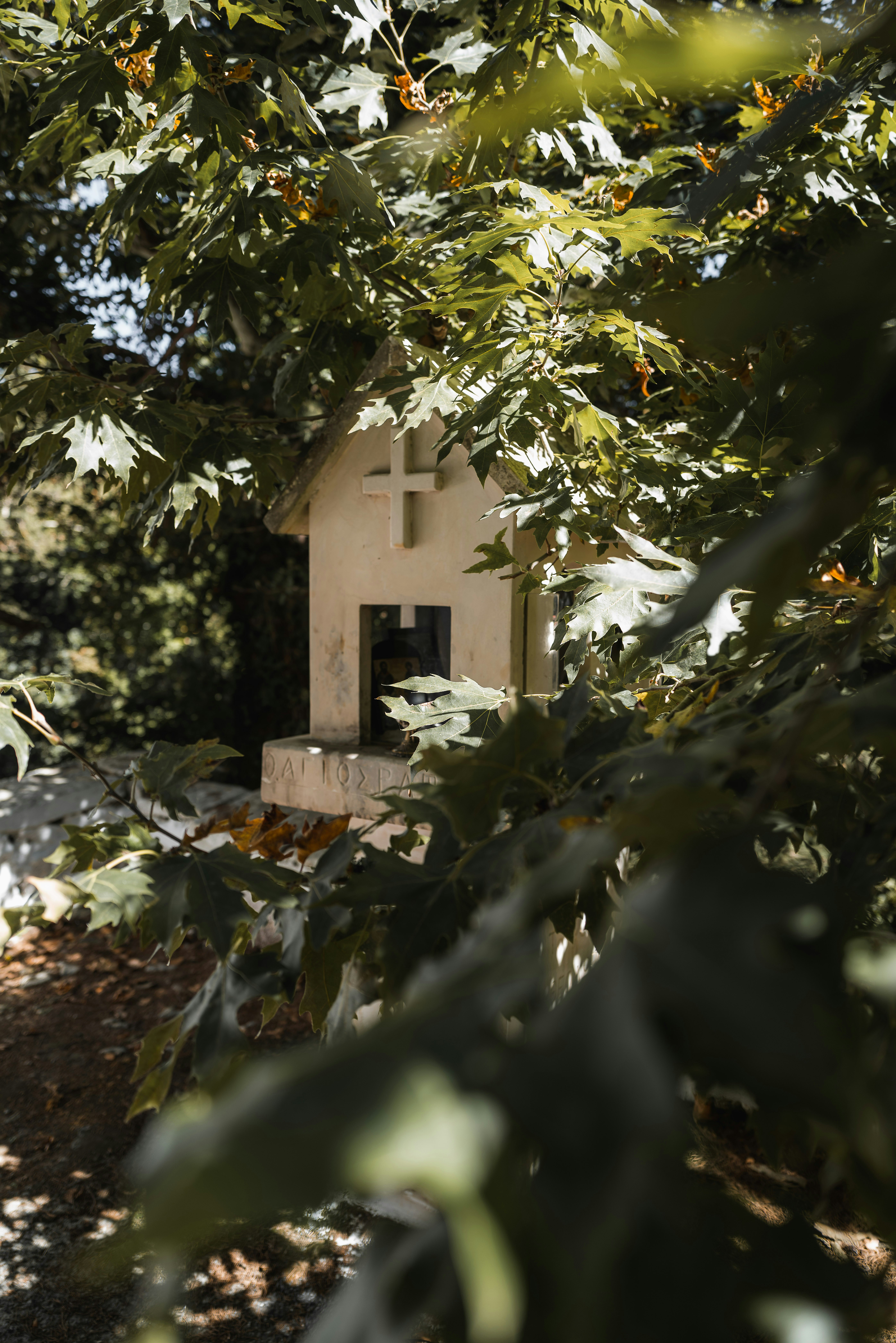 Cross in the Green Canopy: a Quiet Shrine Framed by Leaves