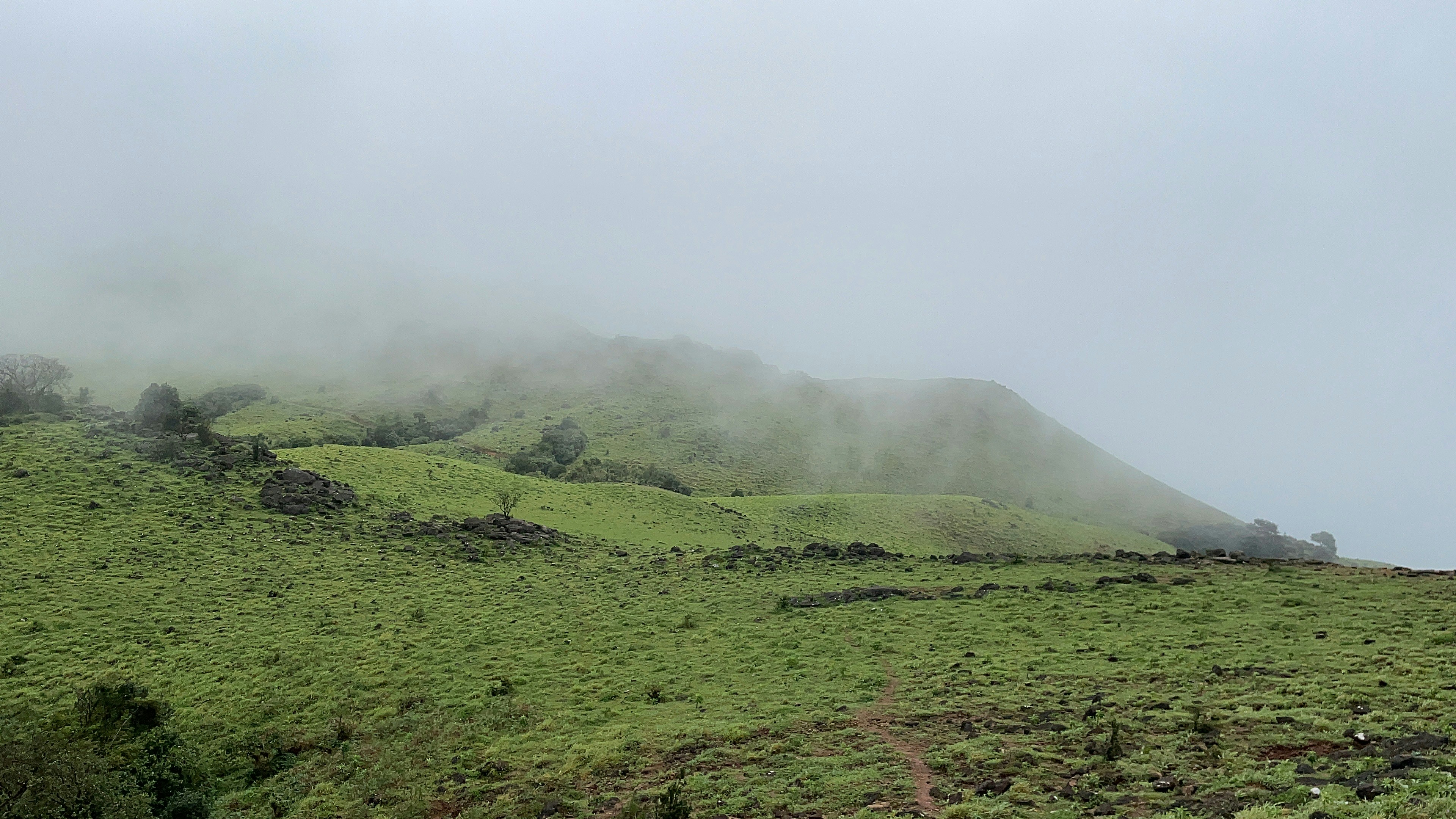 A grassy hill with fog photo – Free Coorg Image on Unsplash