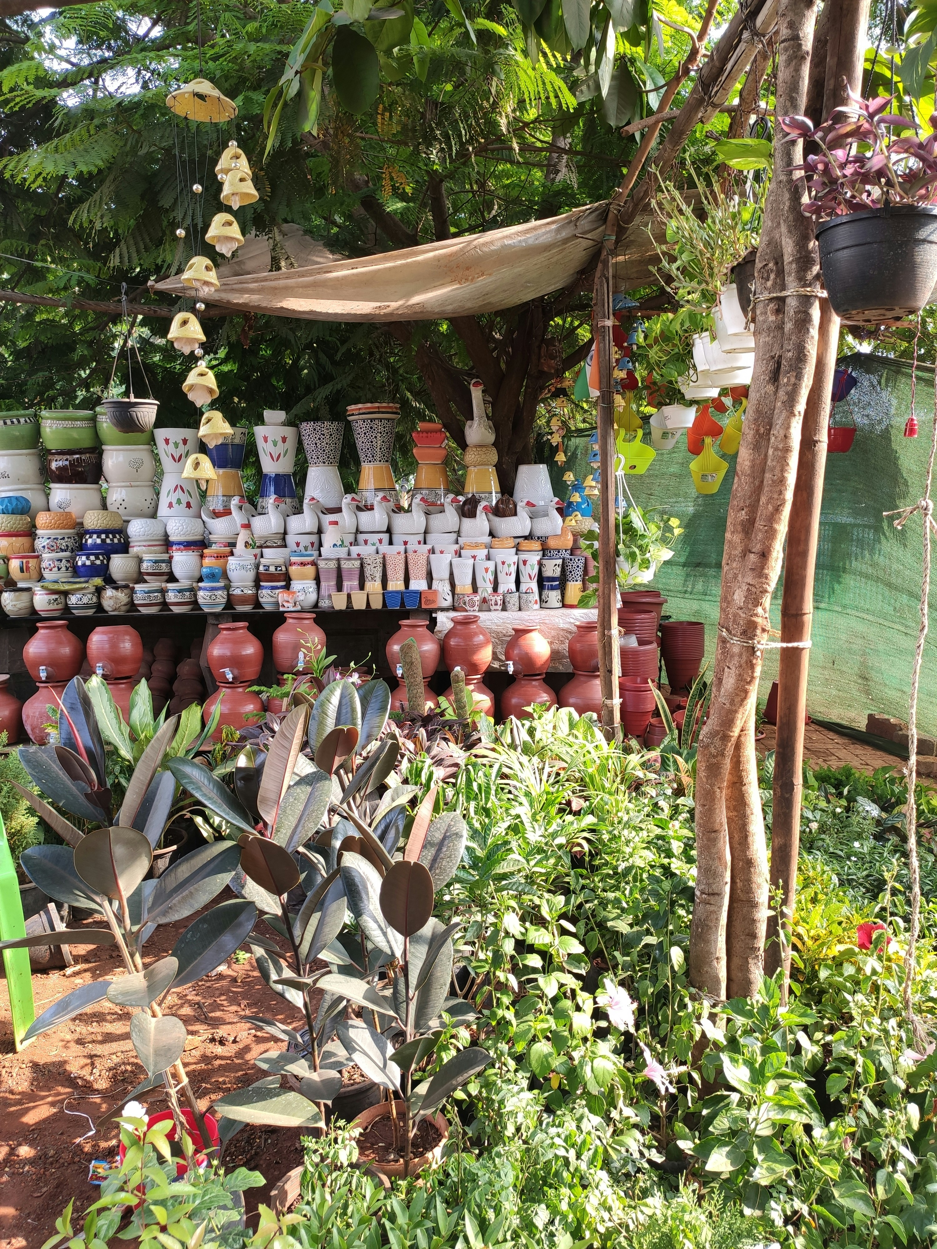 Ceramic Alchemy: Colorful Pottery Rows Framing a Green Corner