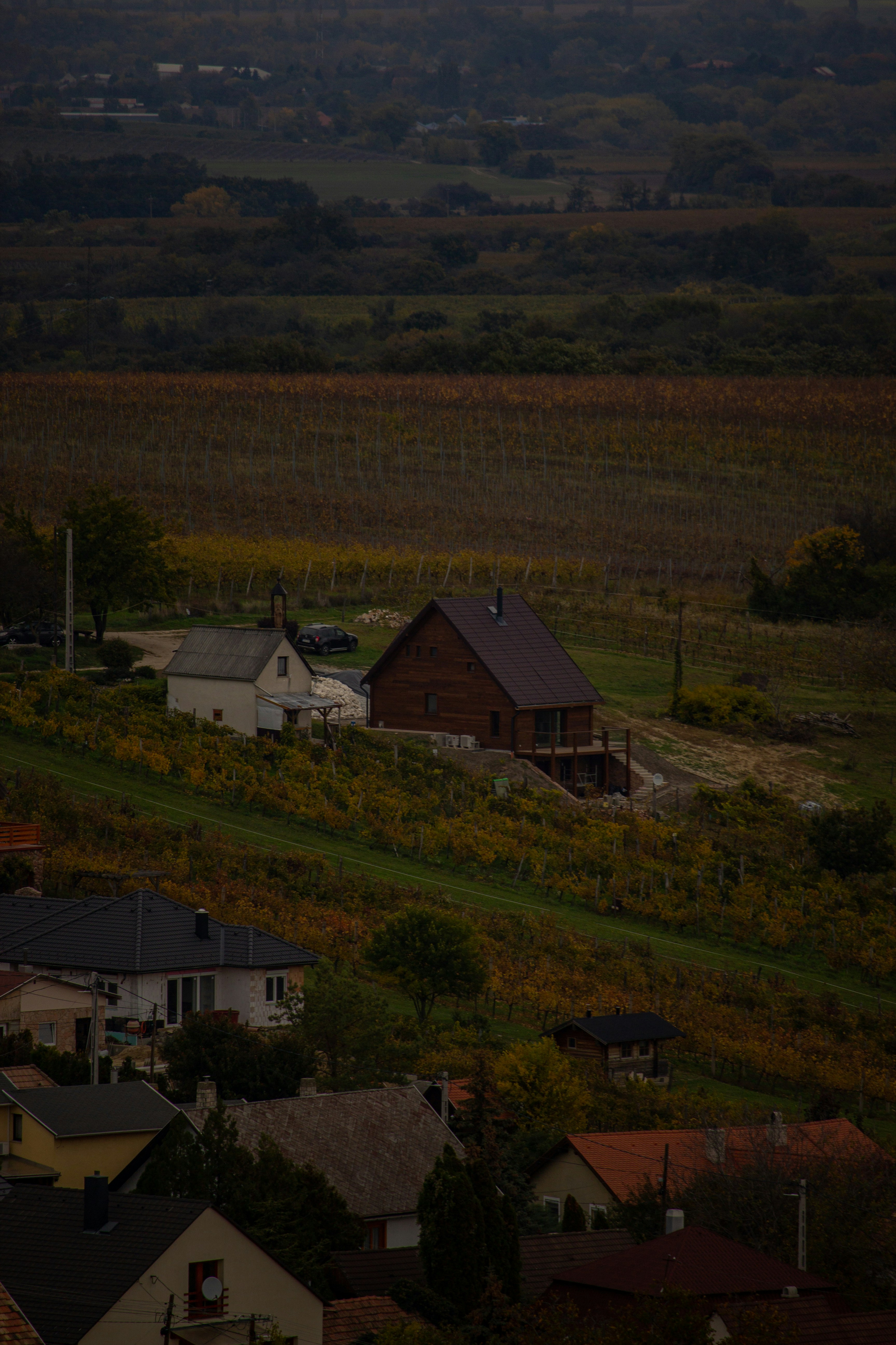 Hearth on the Hill: a brown cottage among vineyard rows at dusk