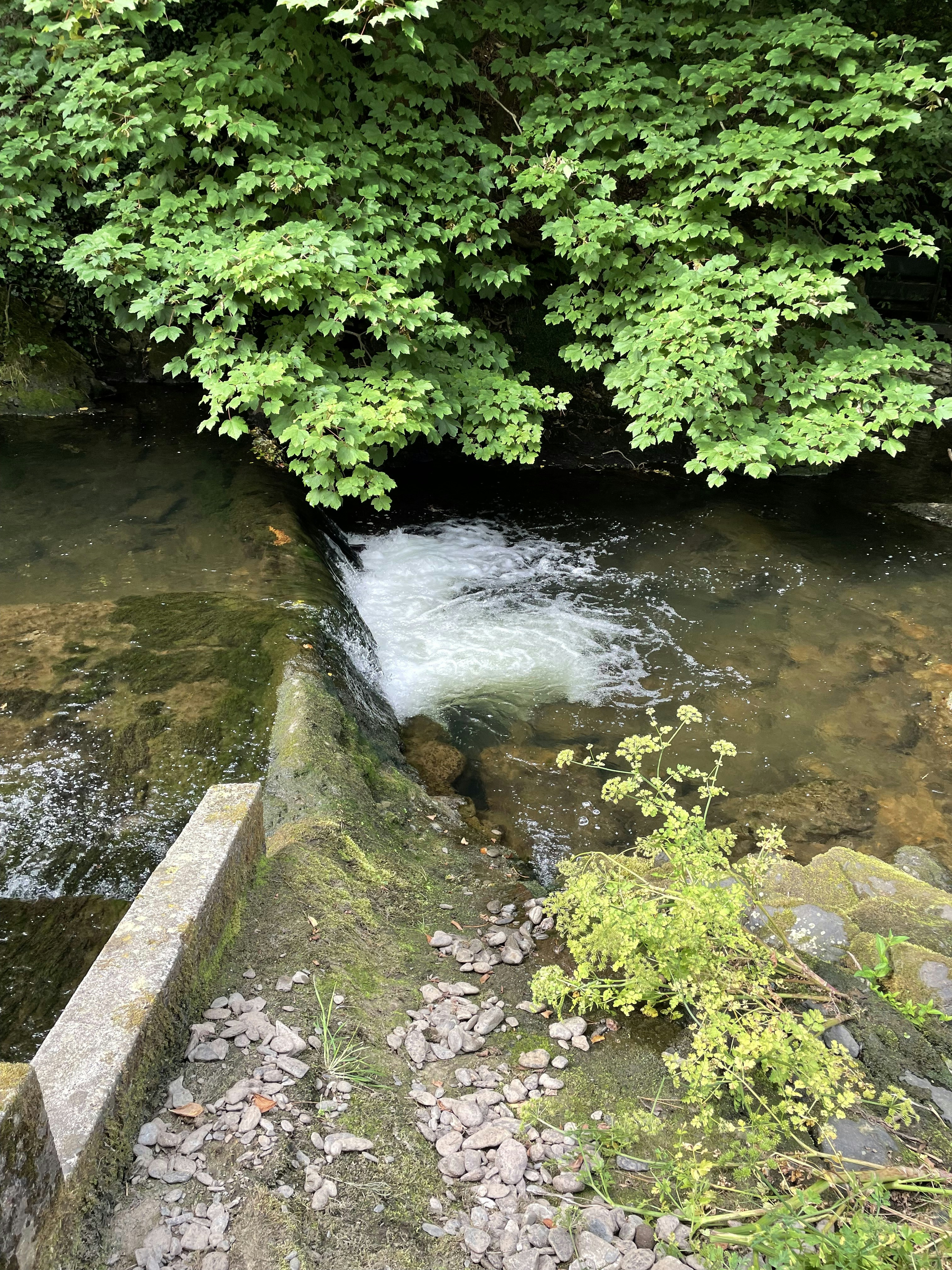 Photo by Joshua Wheeler with Apple iPhone 12