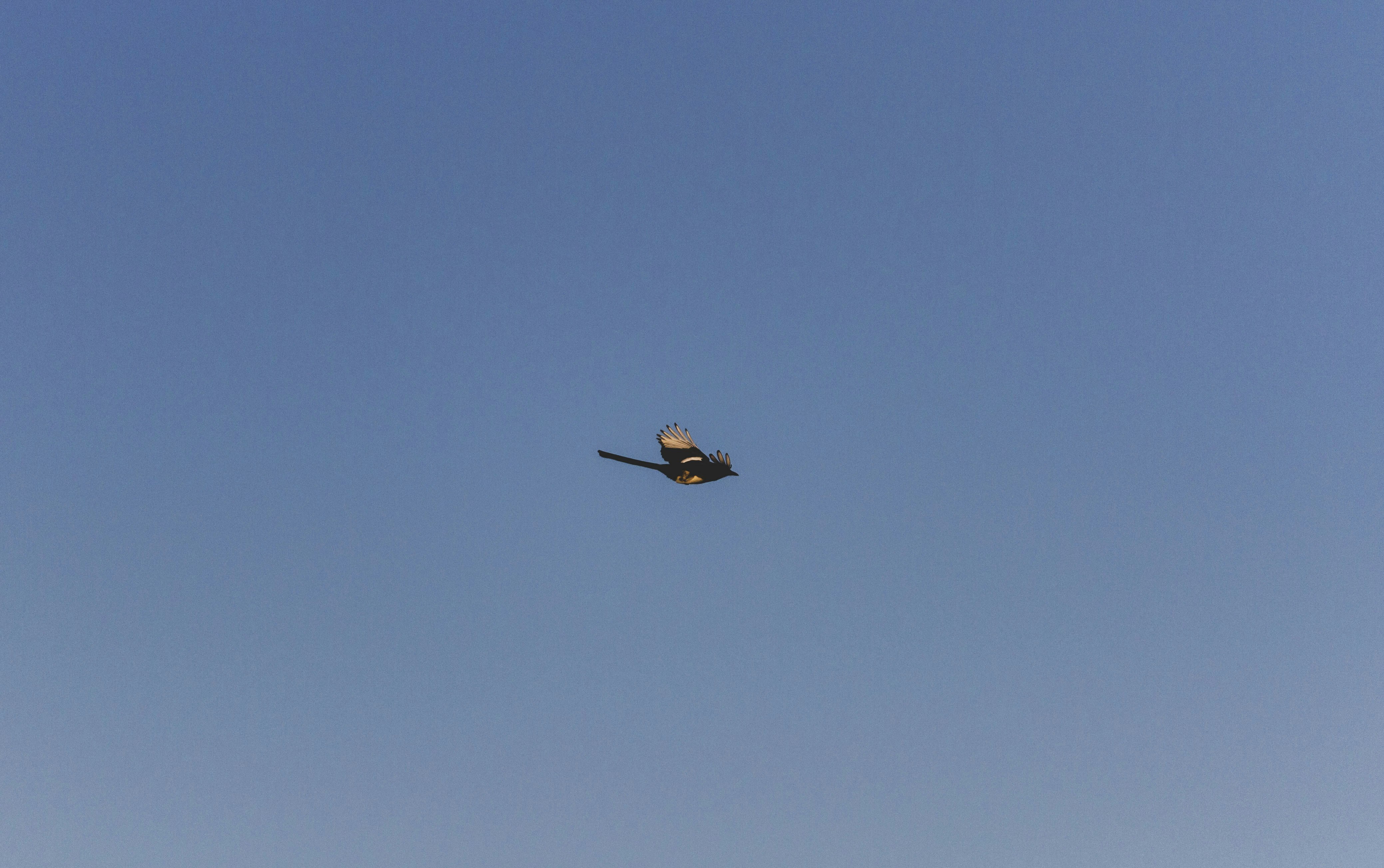 Photo by Michael Myers with Canon EOS 7D