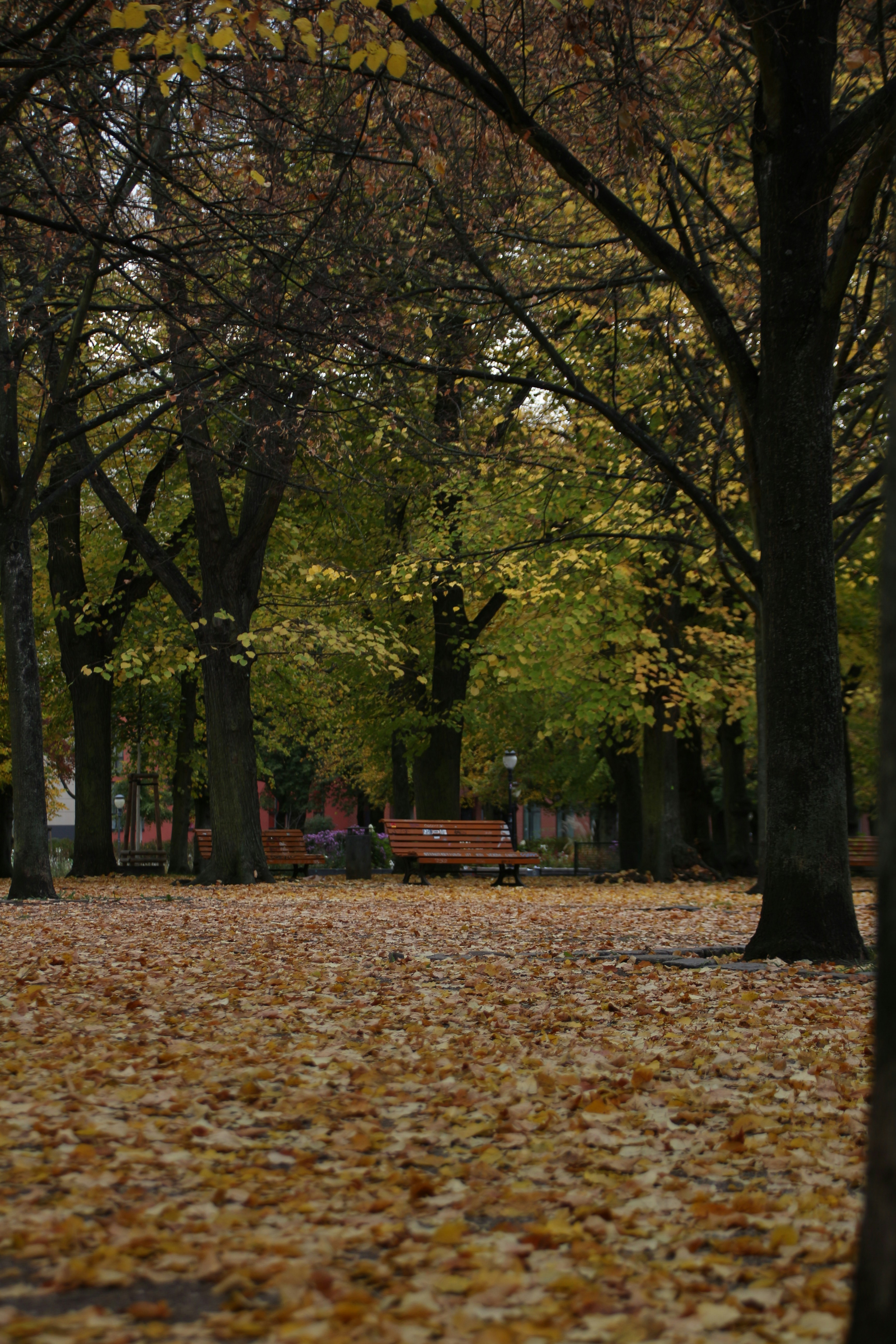 Photo by Klarin Steffens with Canon EOS 700D