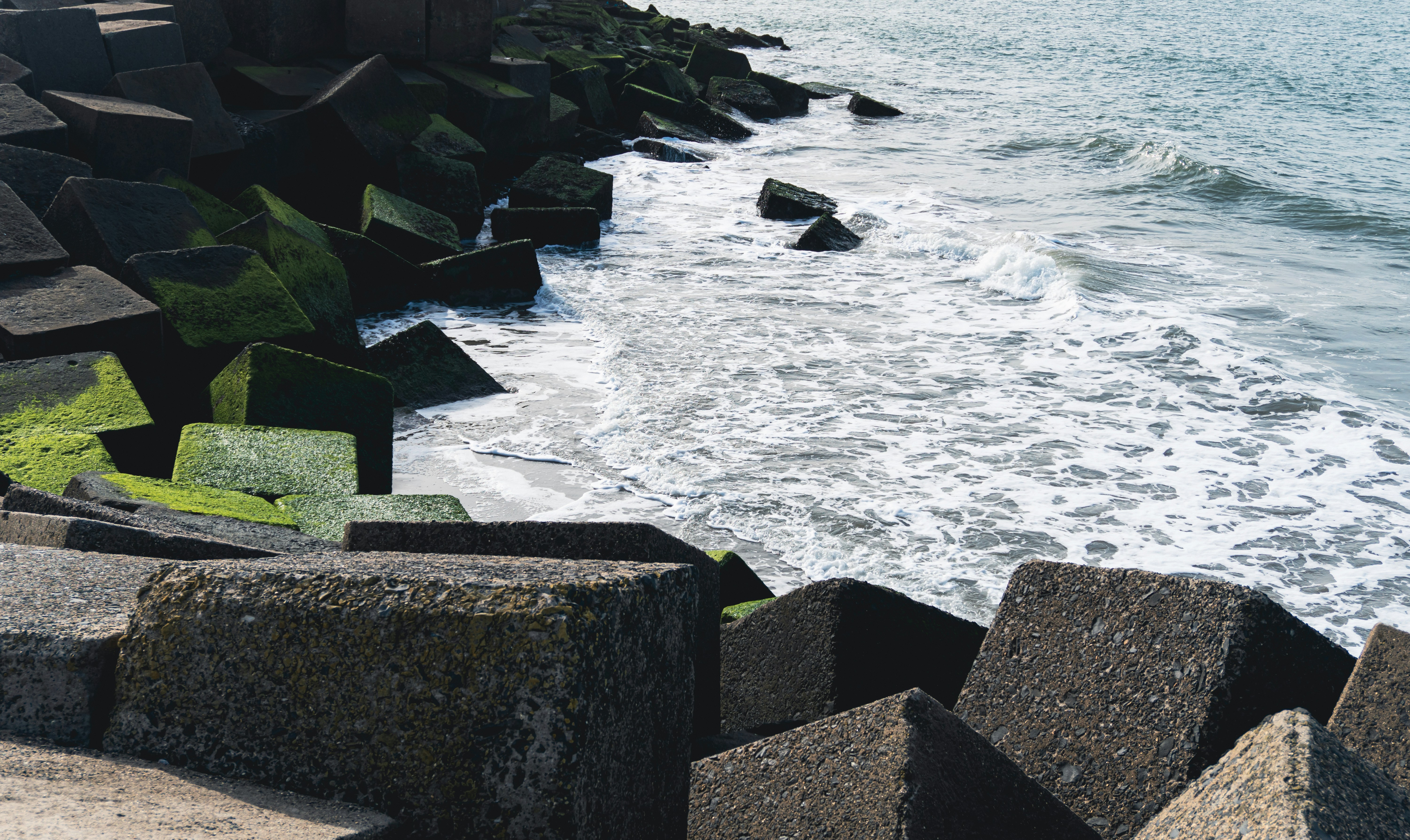 Textured concrete blocks line a shoreline, partially submerged by gentle waves, with vibrant green moss contrasting against the gray stone. 