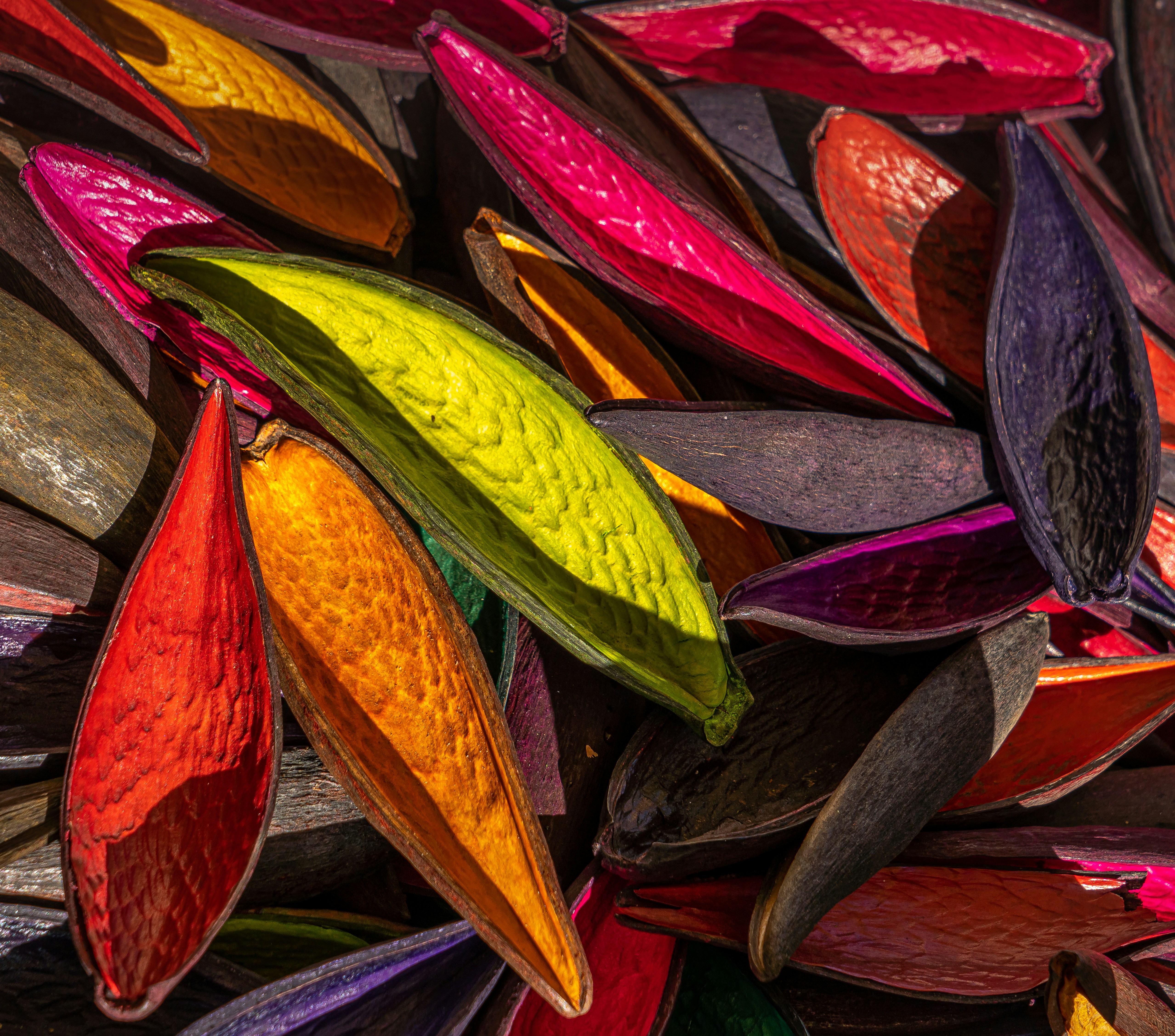 Neon Fronds: a close-up mosaic of overlapping multicolored leaves