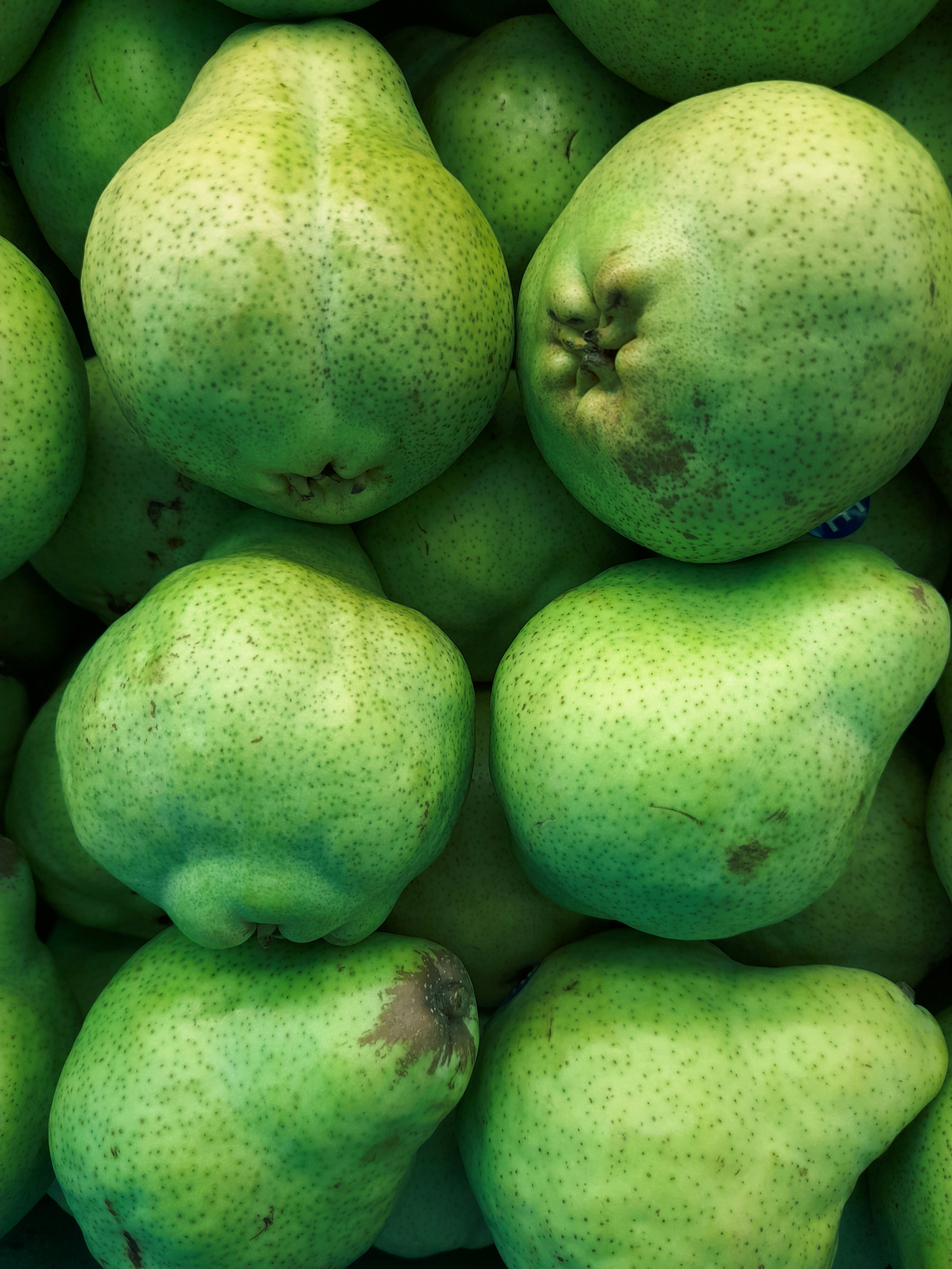 Green Fruits Names