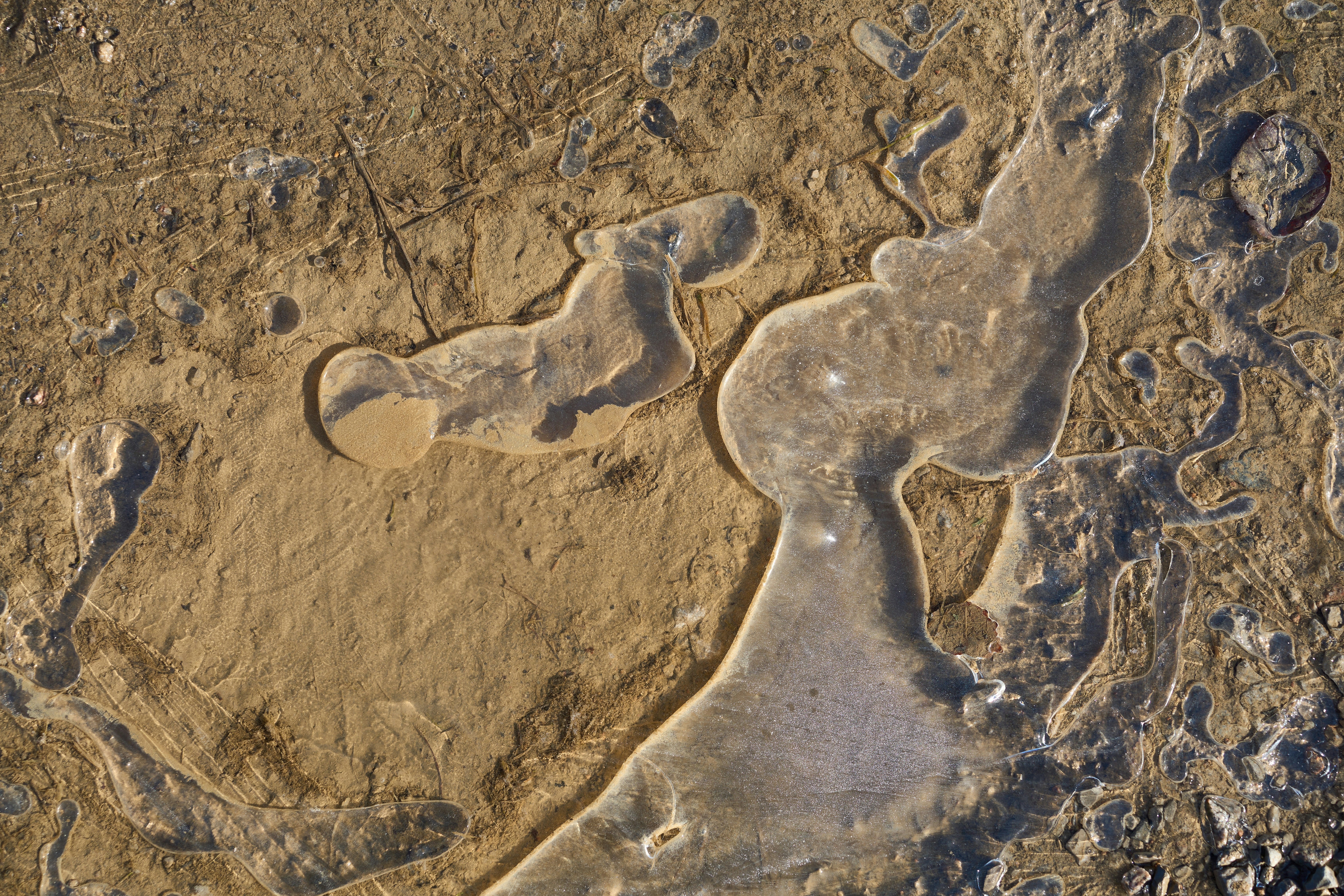 Rippled Desert Etchings: A Pebble-Pocked Field of Impressionistic Trails