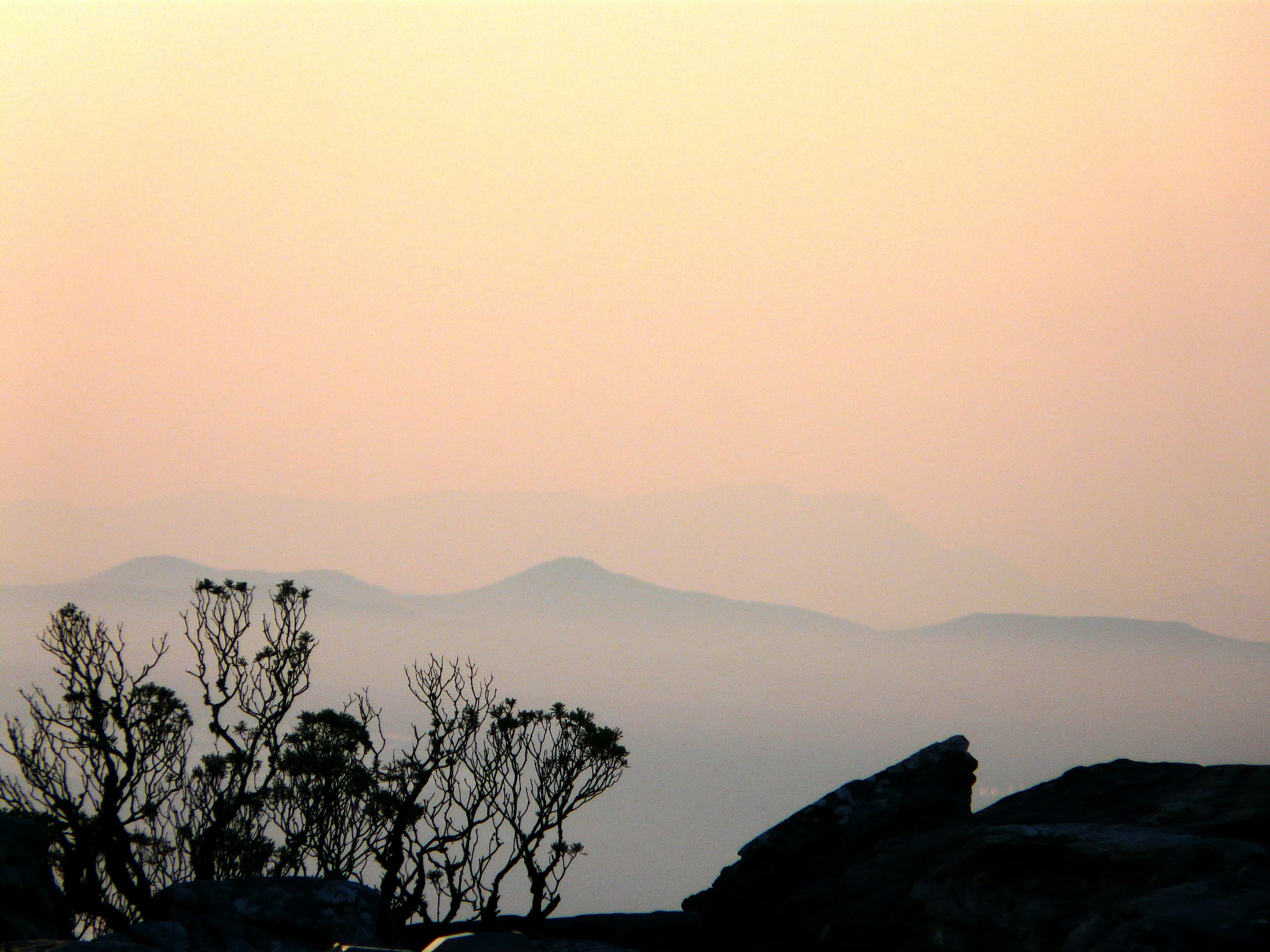 Silhouetted branches against a hazy mountain backdrop under a warm, peach-toned sky.