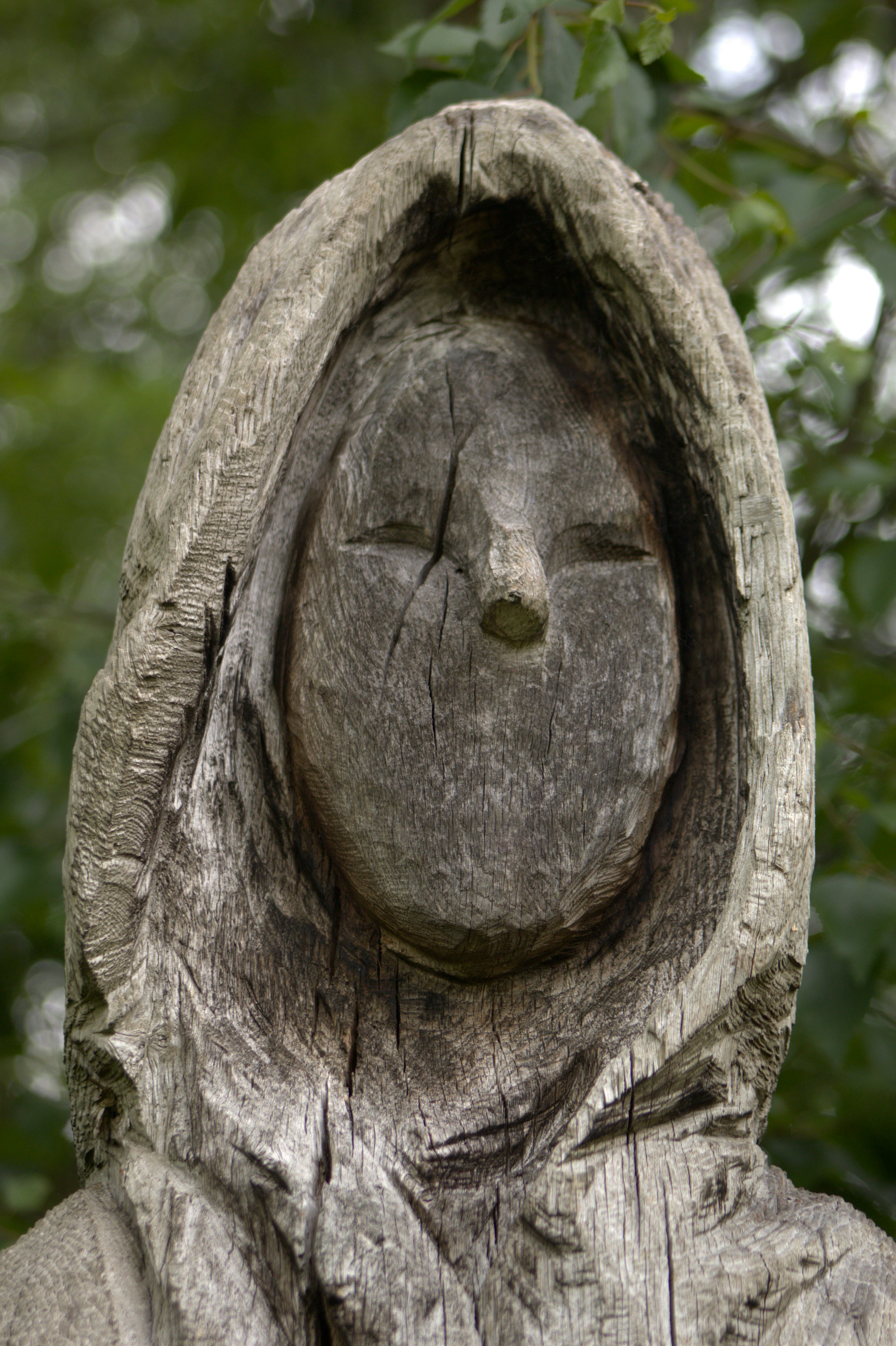 Hollow Hood: Time-Worn Wood Spirit Carved from a Weathered Trunk