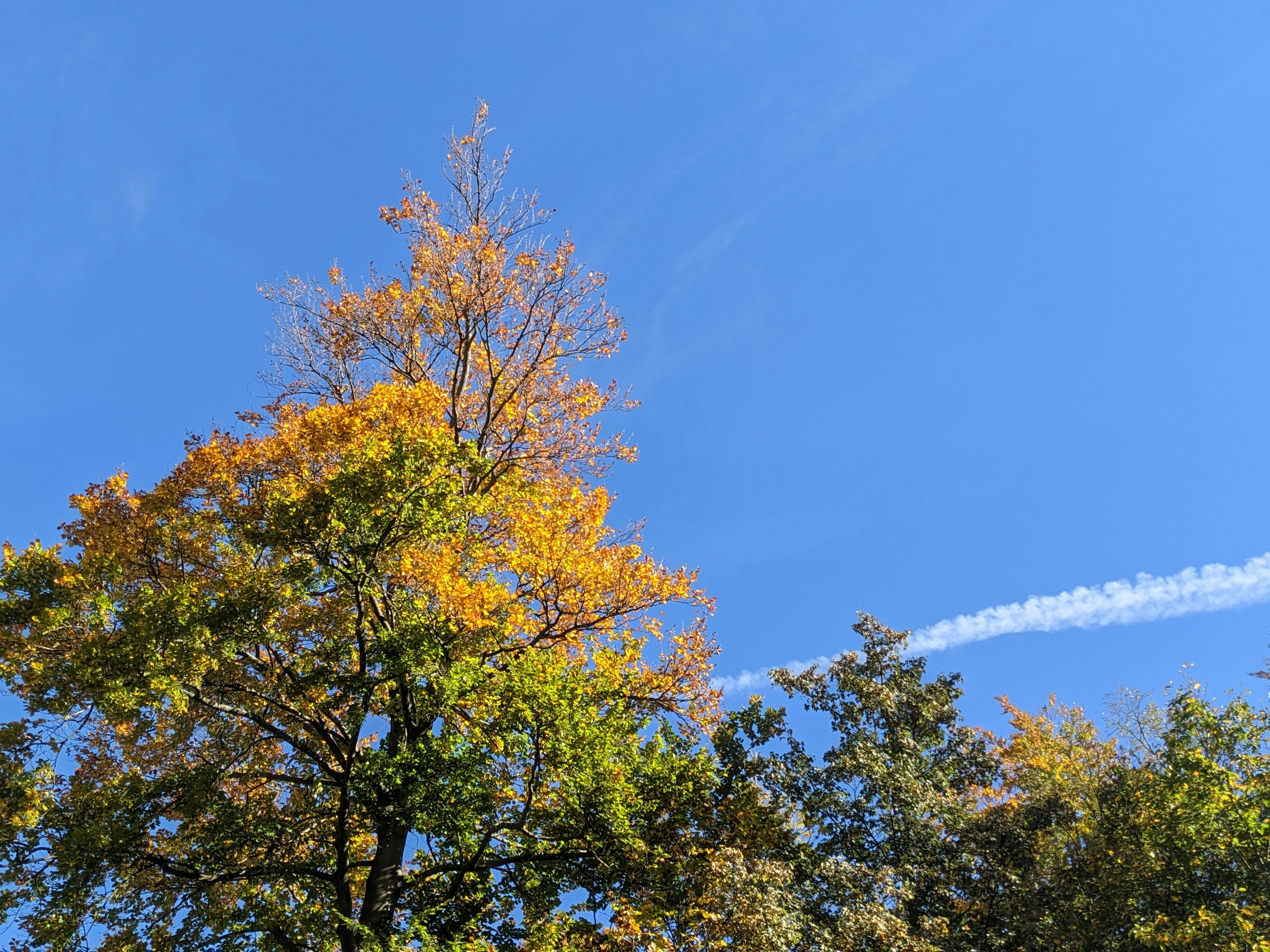 Photo by M. X. with Google Pixel 4a