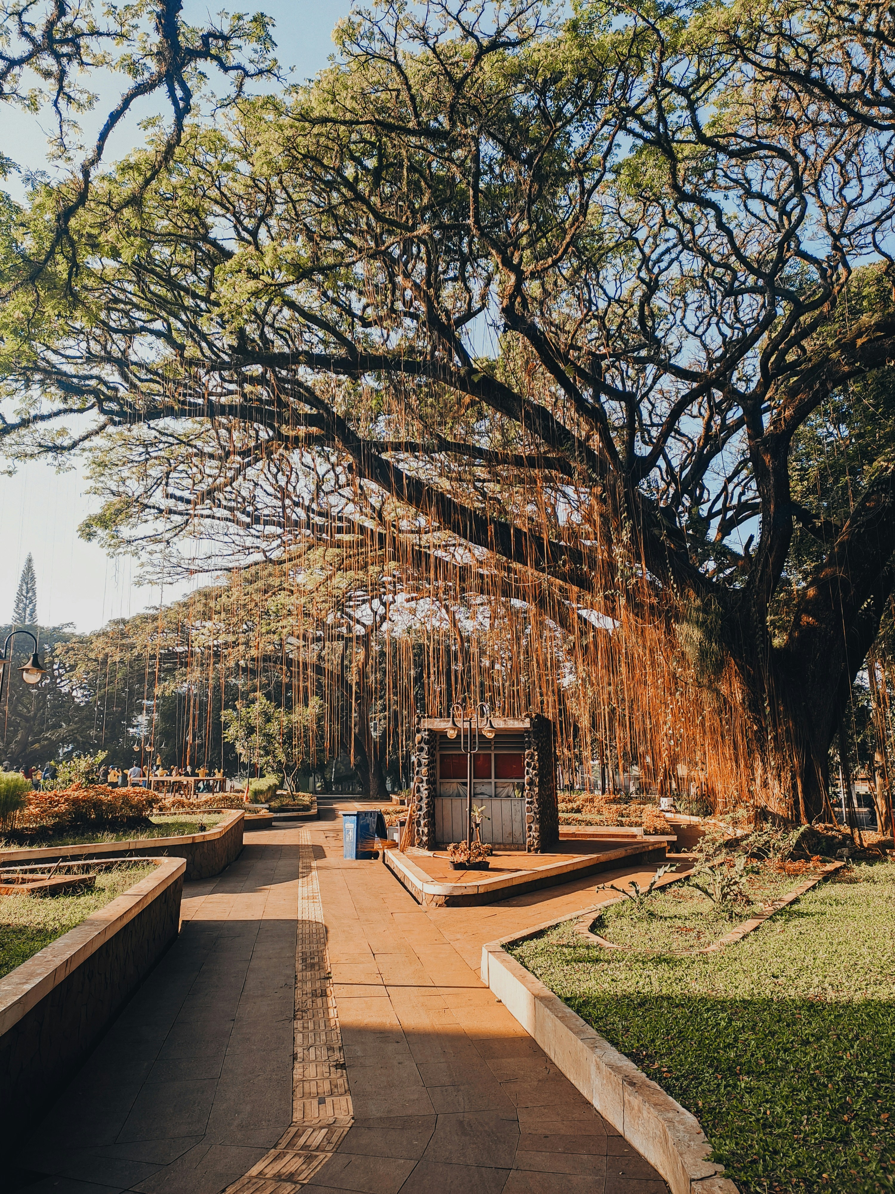 A path leading to a building photo – Free Building Image on Unsplash