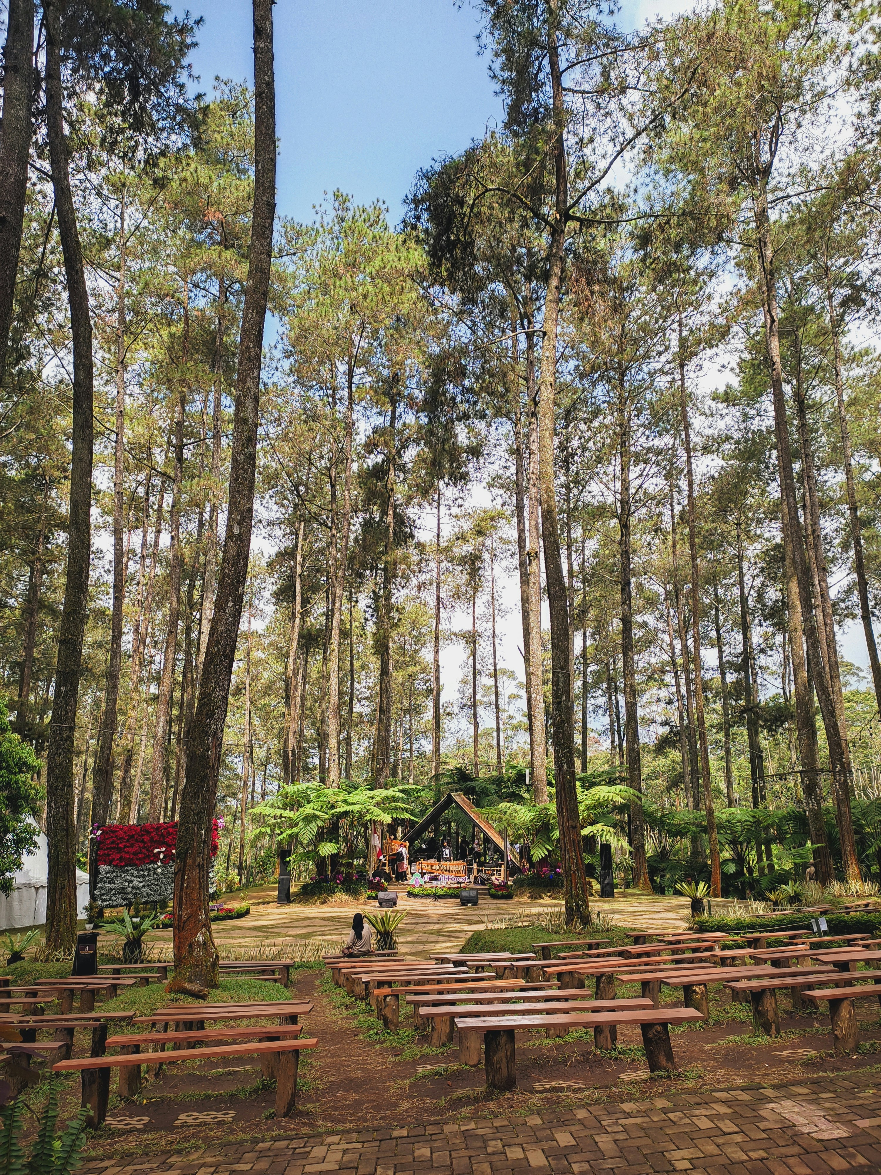 Forest clearing with long wooden benches facing a small pavilion amid tall pines, where a few people gather around a fern-adorned shelter.