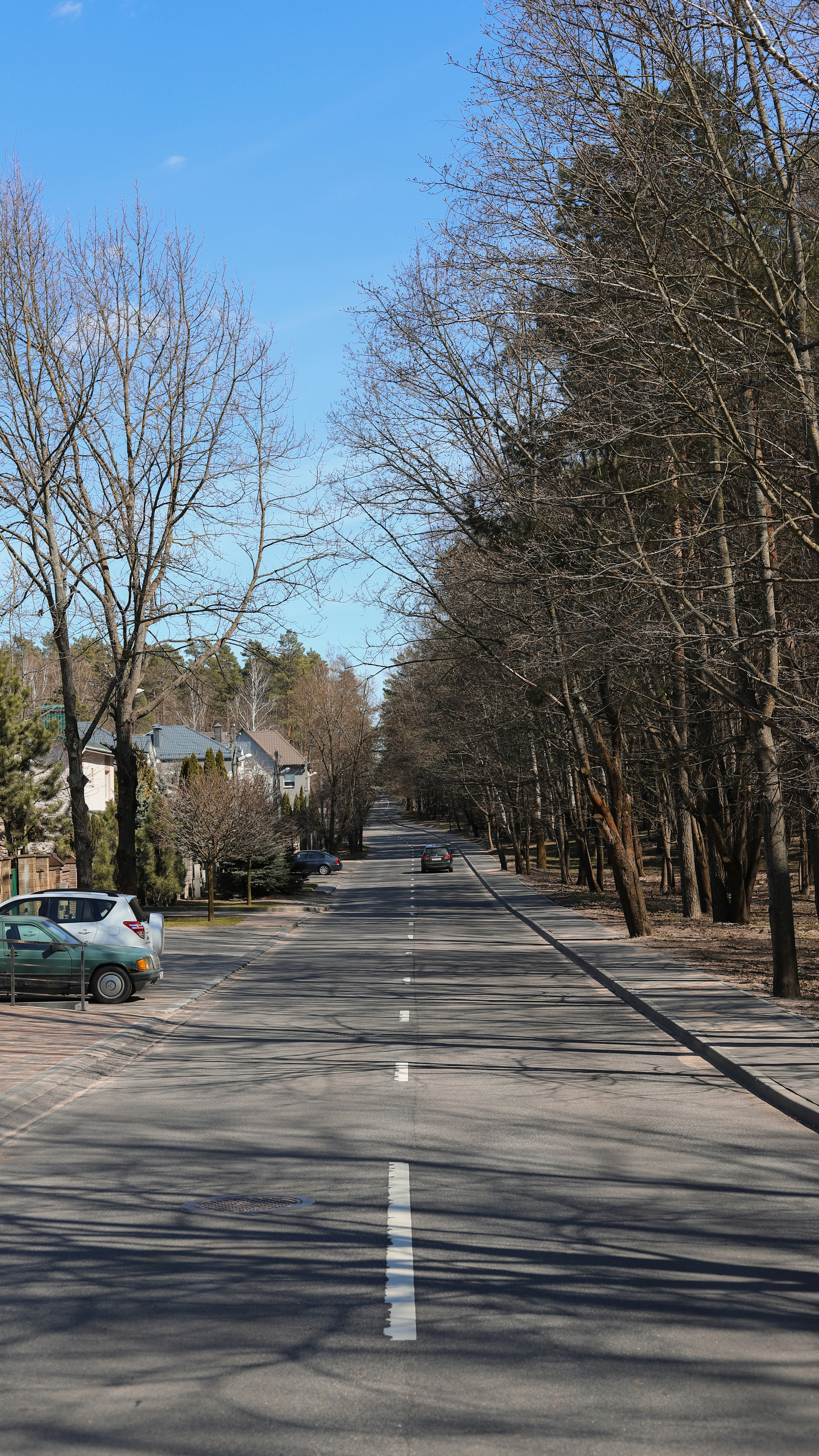 a street with trees on the side