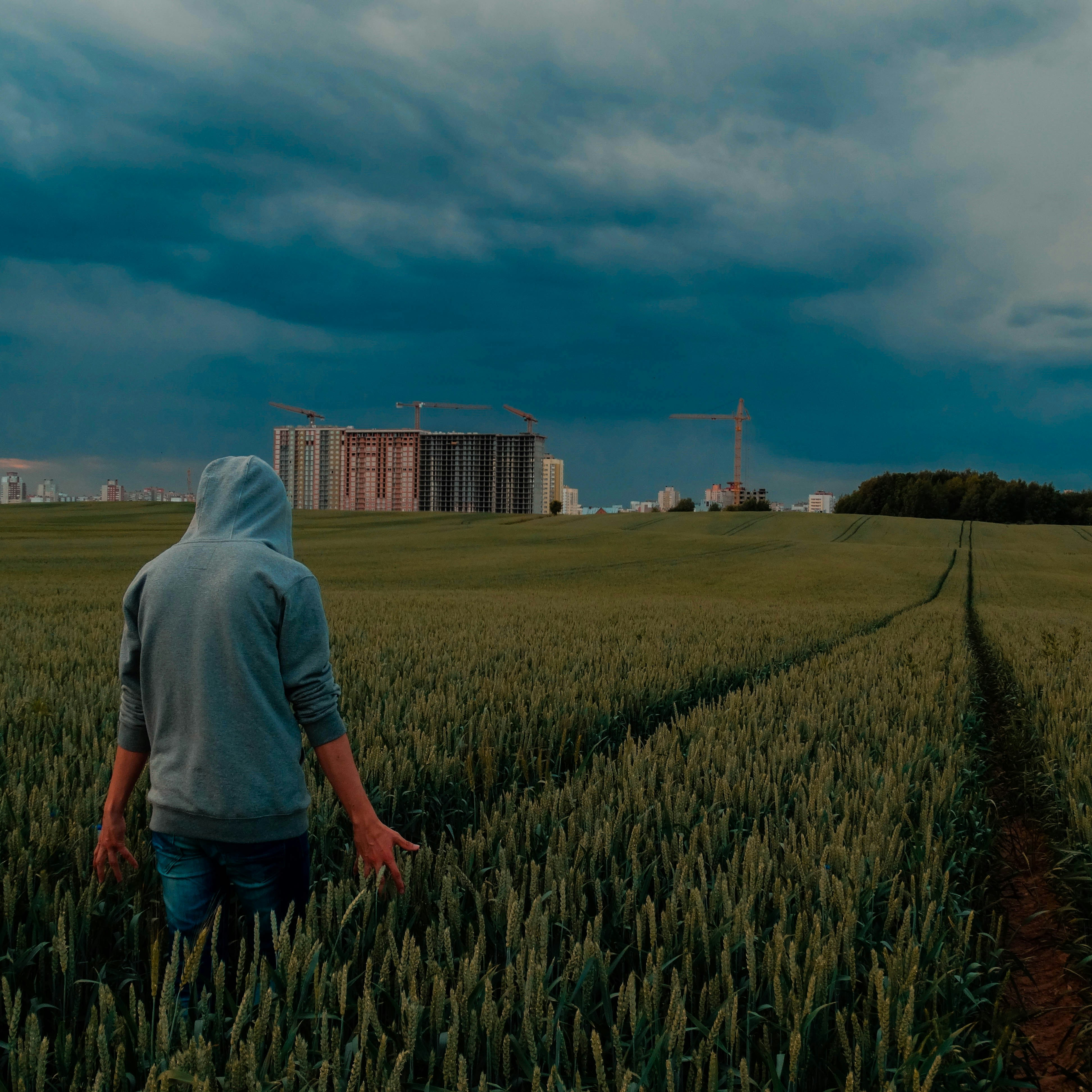 Hooded wanderer in a field toward a distant cityscape