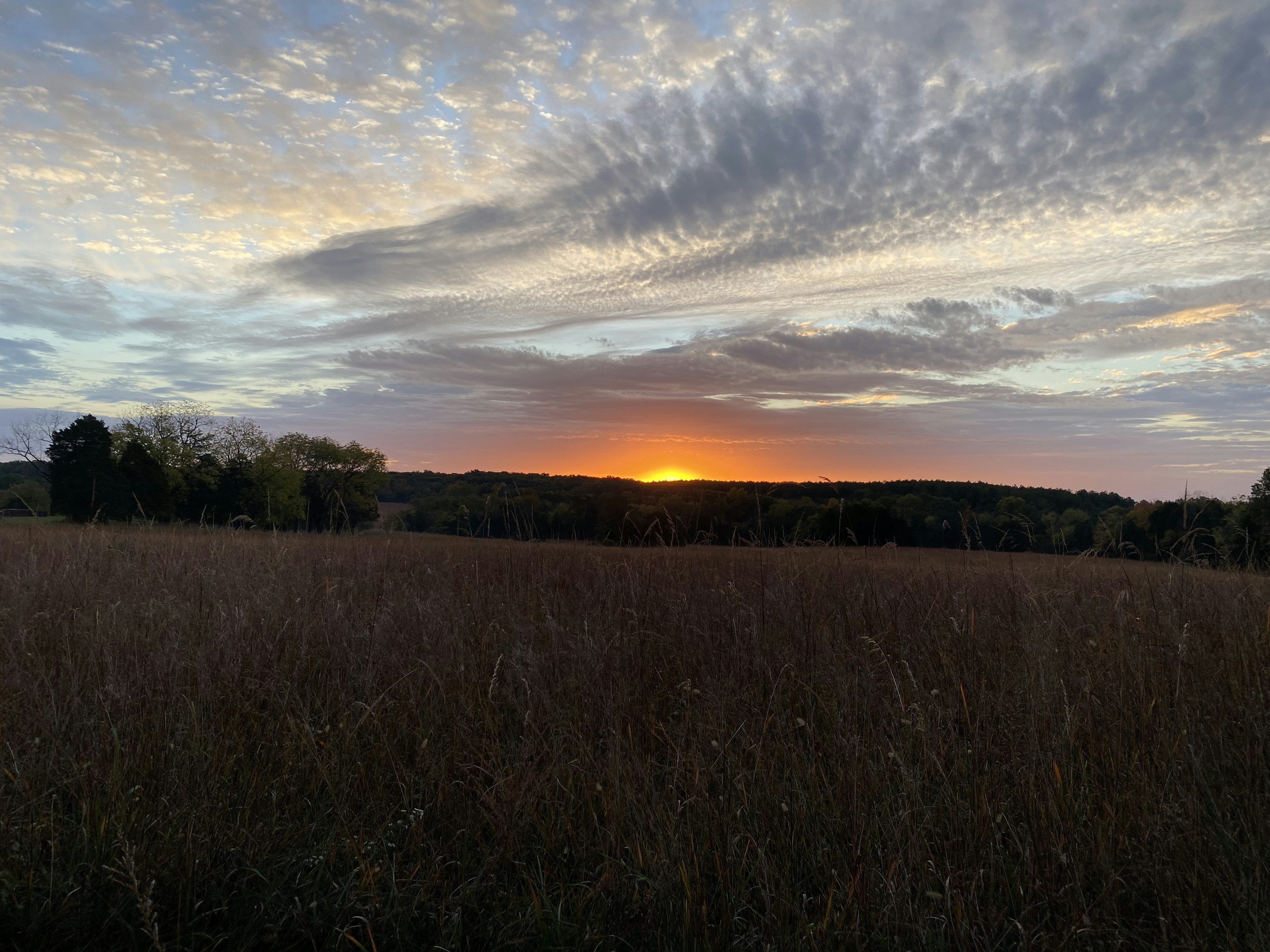 Horizon Ember: Sunset Sifts Through Tall Grass