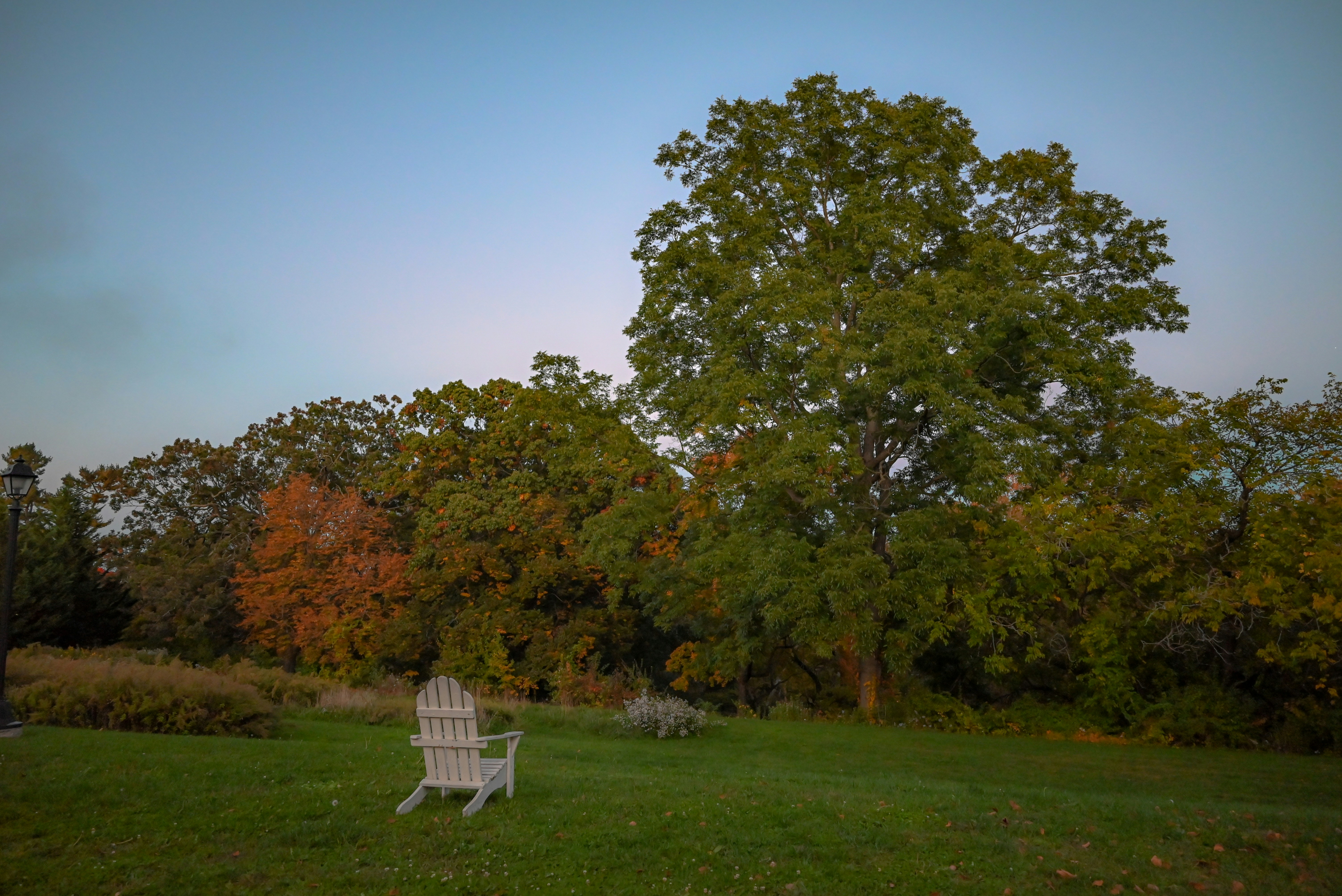 Foto zum Thema Ein weißer Stuhl steht auf einer Wiese – Kostenloses ...