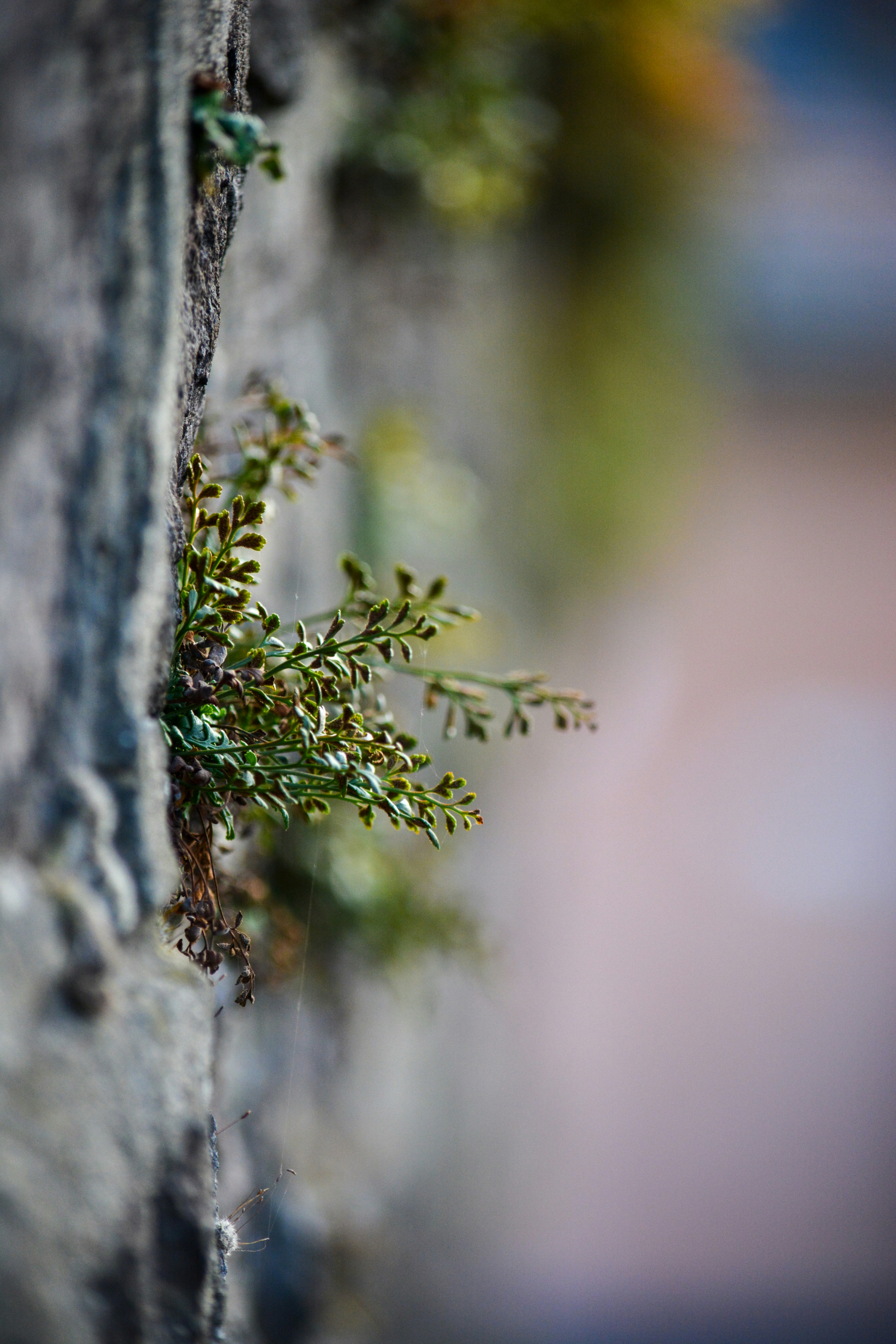 Photo by max im with Nikon D7100