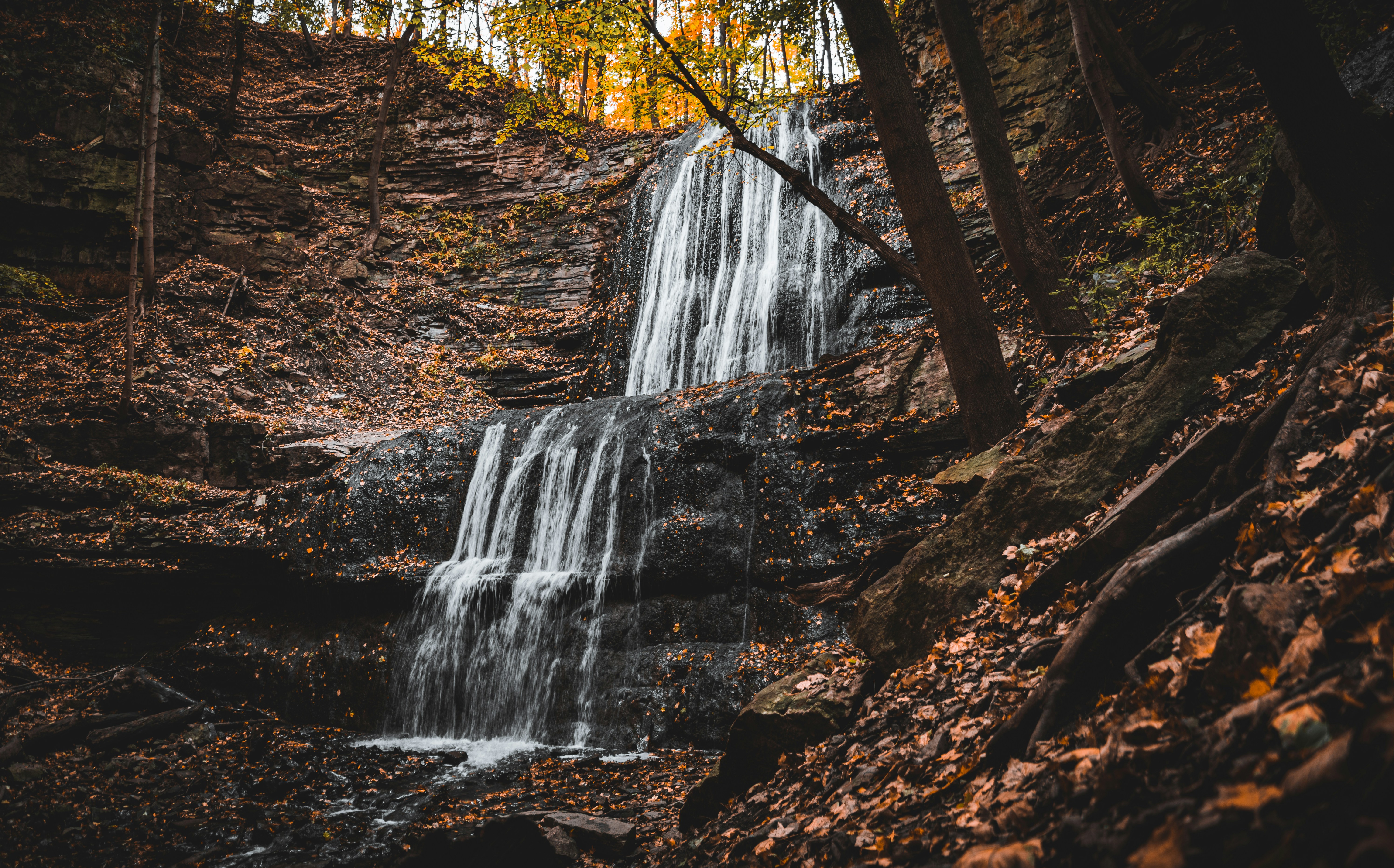 A waterfall in a forest photo – Free Sherman falls Image on Unsplash