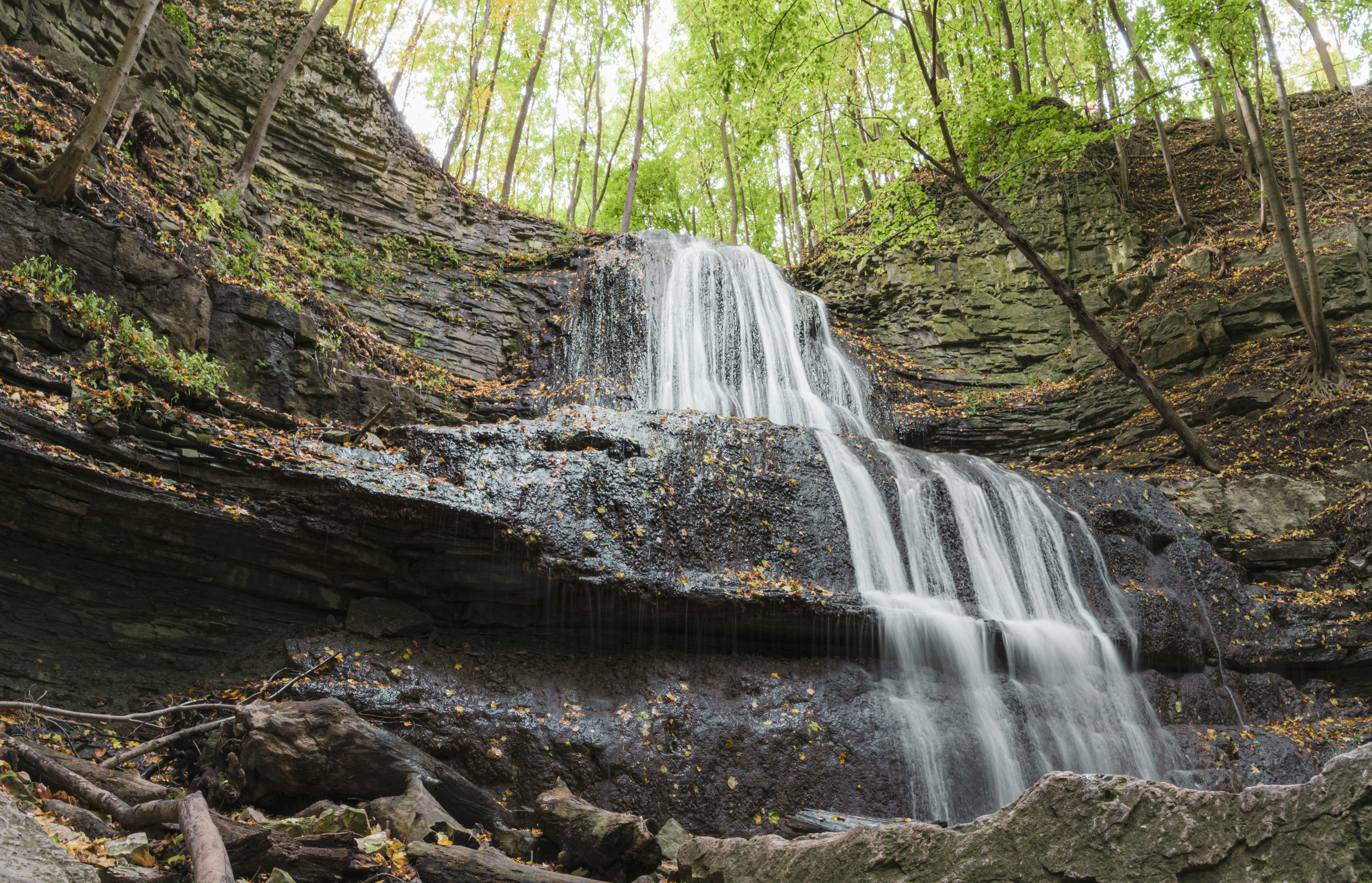 A waterfall in a forest photo – Free Sherman falls Image on Unsplash