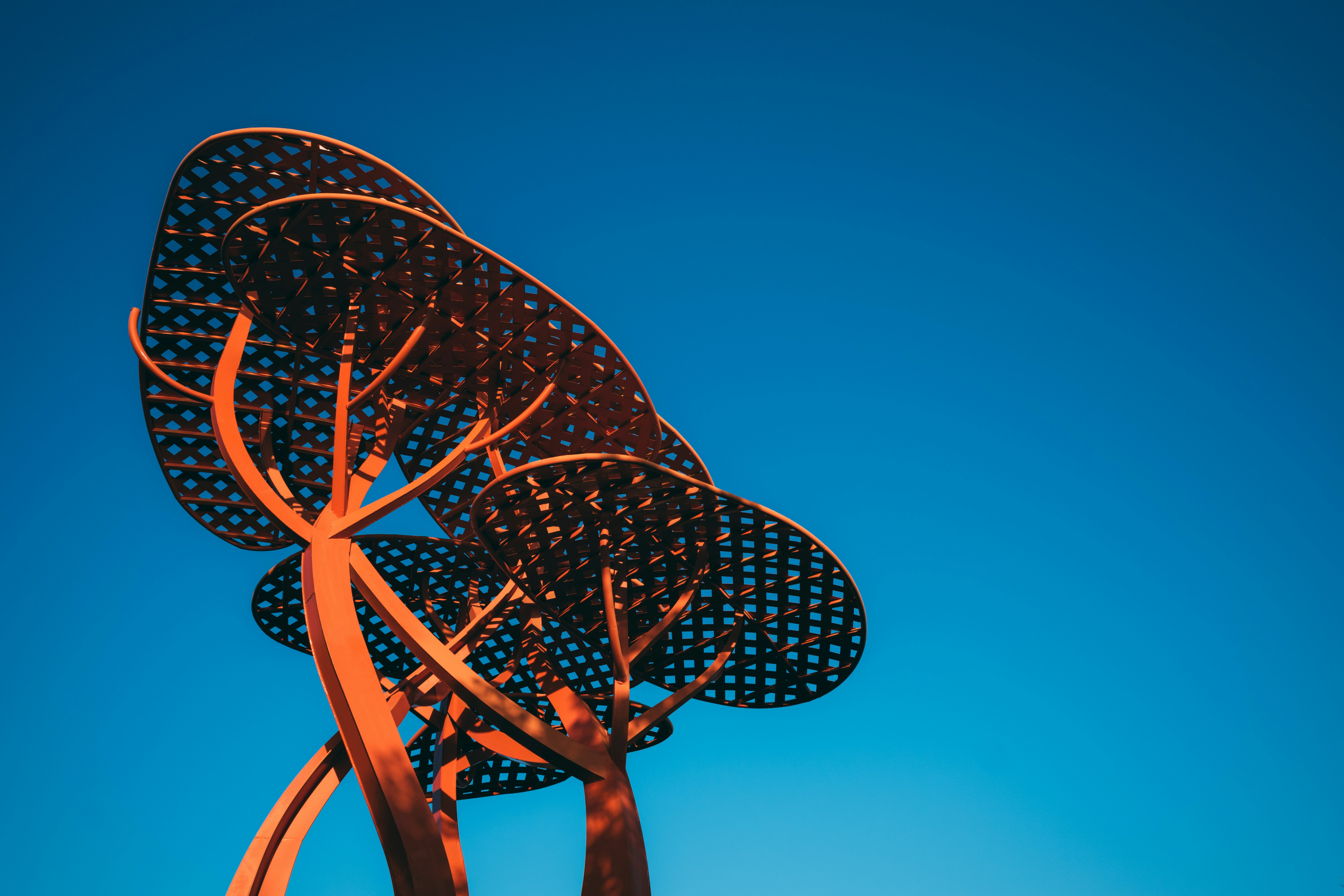 Solar Choir: Curved Light Cast on a Rusted Steel Bloom