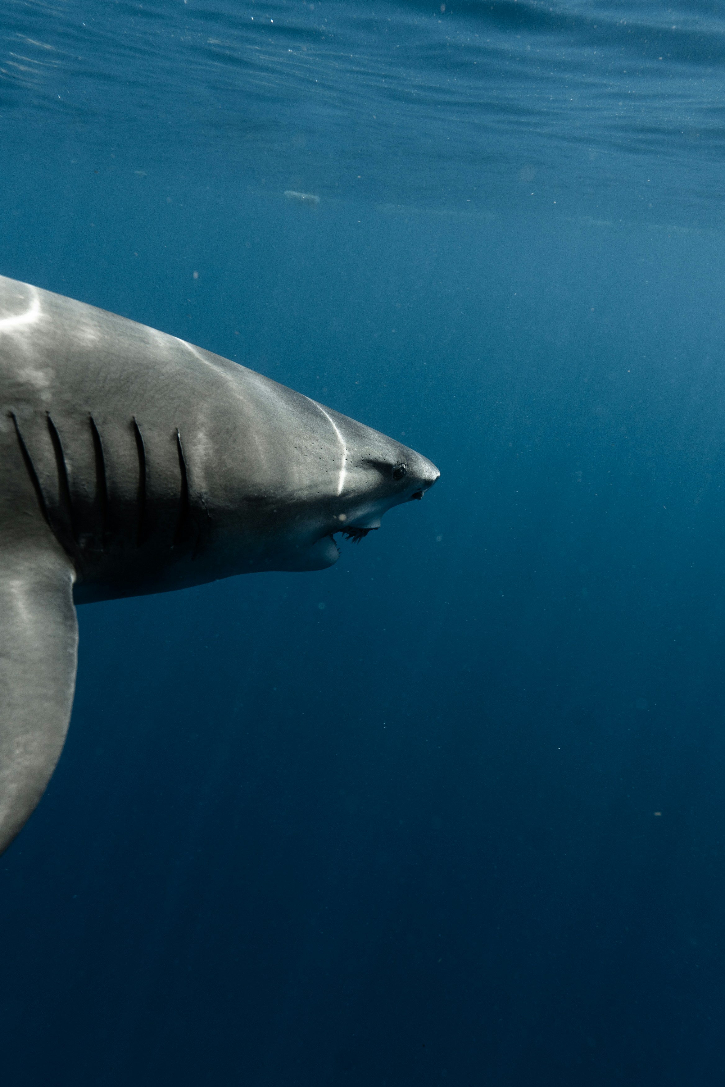 Photo by Jeremy Bishop with Sony Alpha 7R III