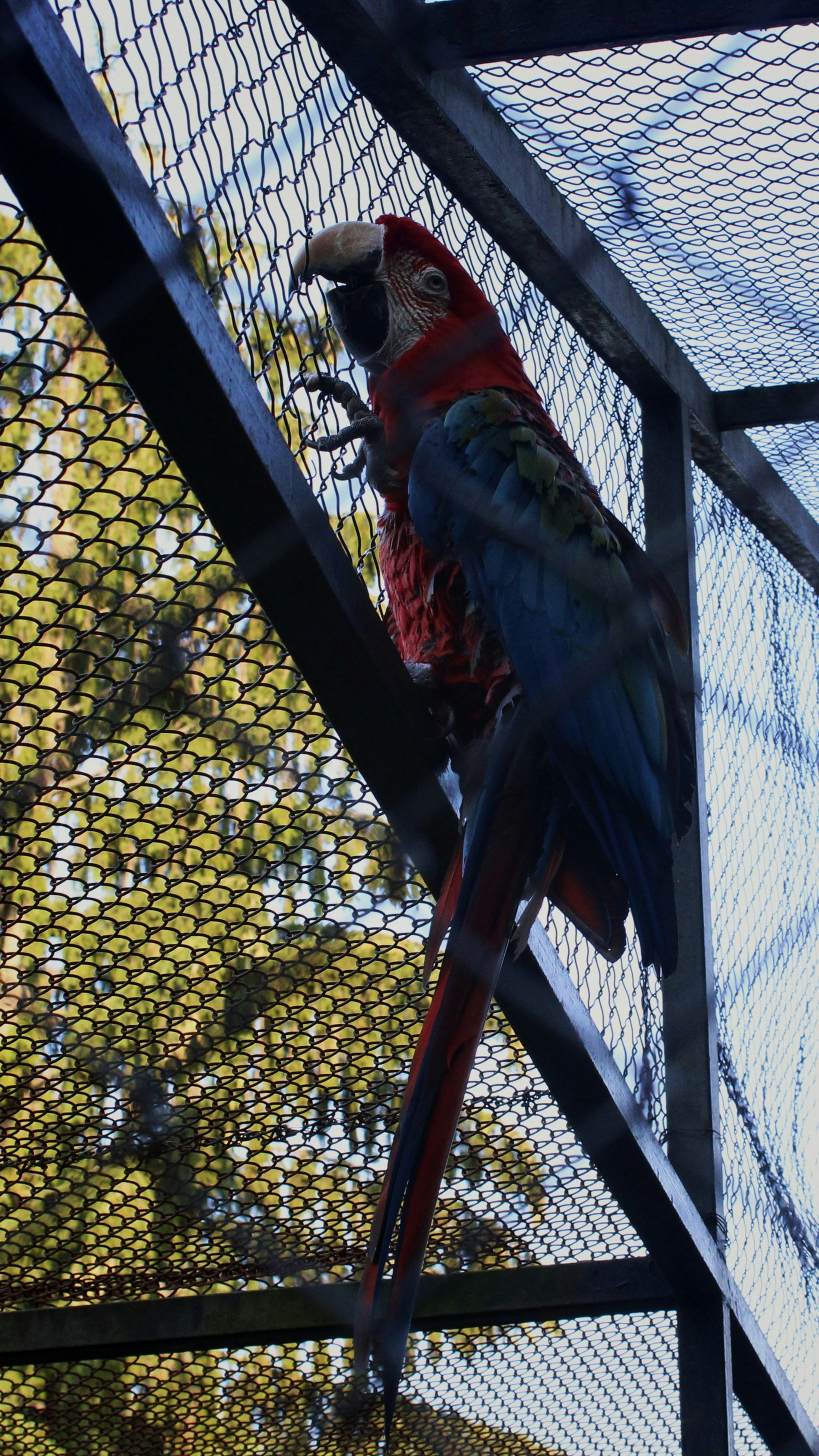 Photo by Czapp Botond with Canon EOS 1200D