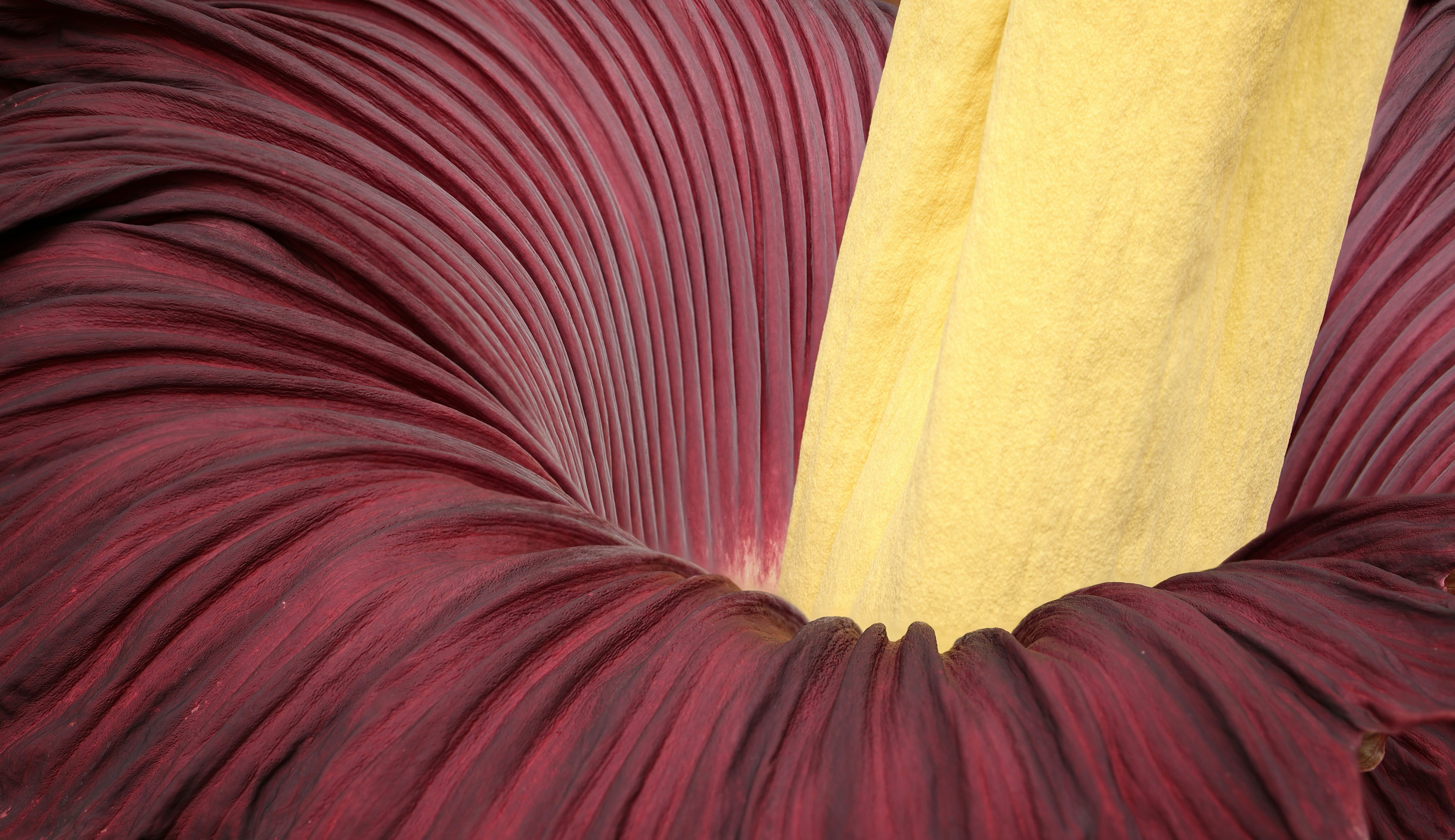 A red and yellow striped wall photo – Free Outdoors Image on Unsplash