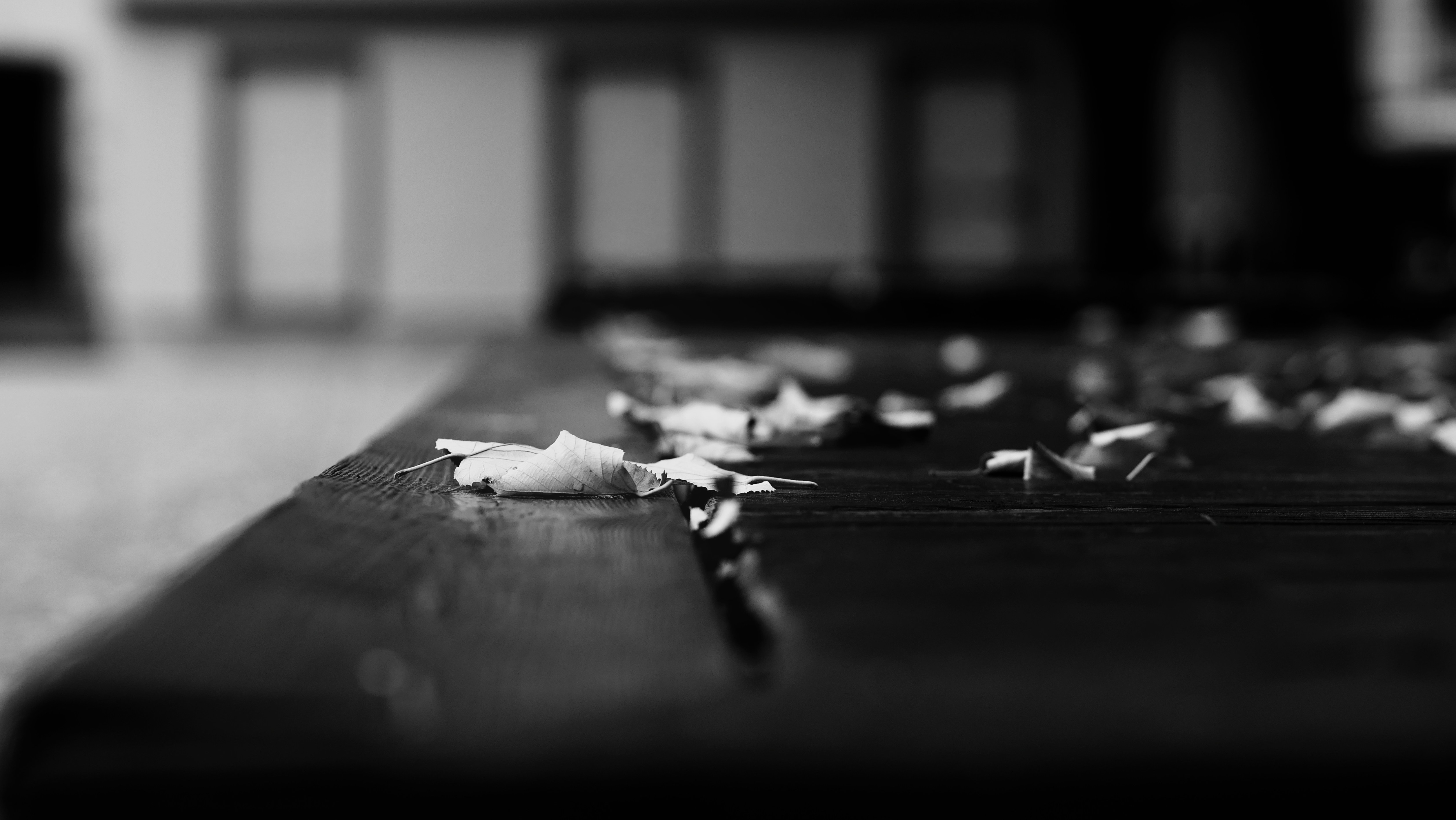 Foto Un primer plano de una persona acostada sobre una mesa – Imagen ...