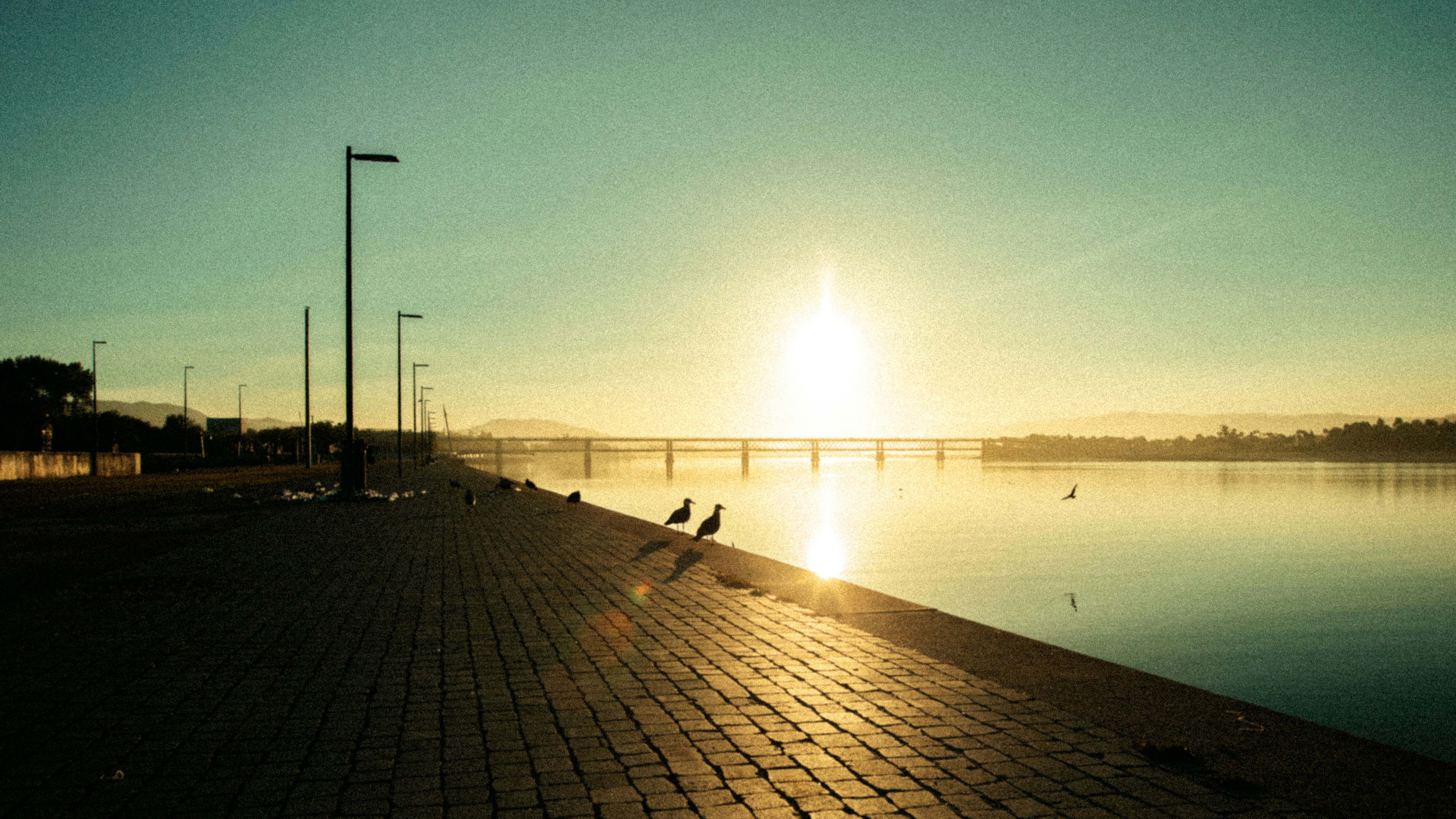 Dusk Along the Pier: Sun, Reflections, and Seabird Line