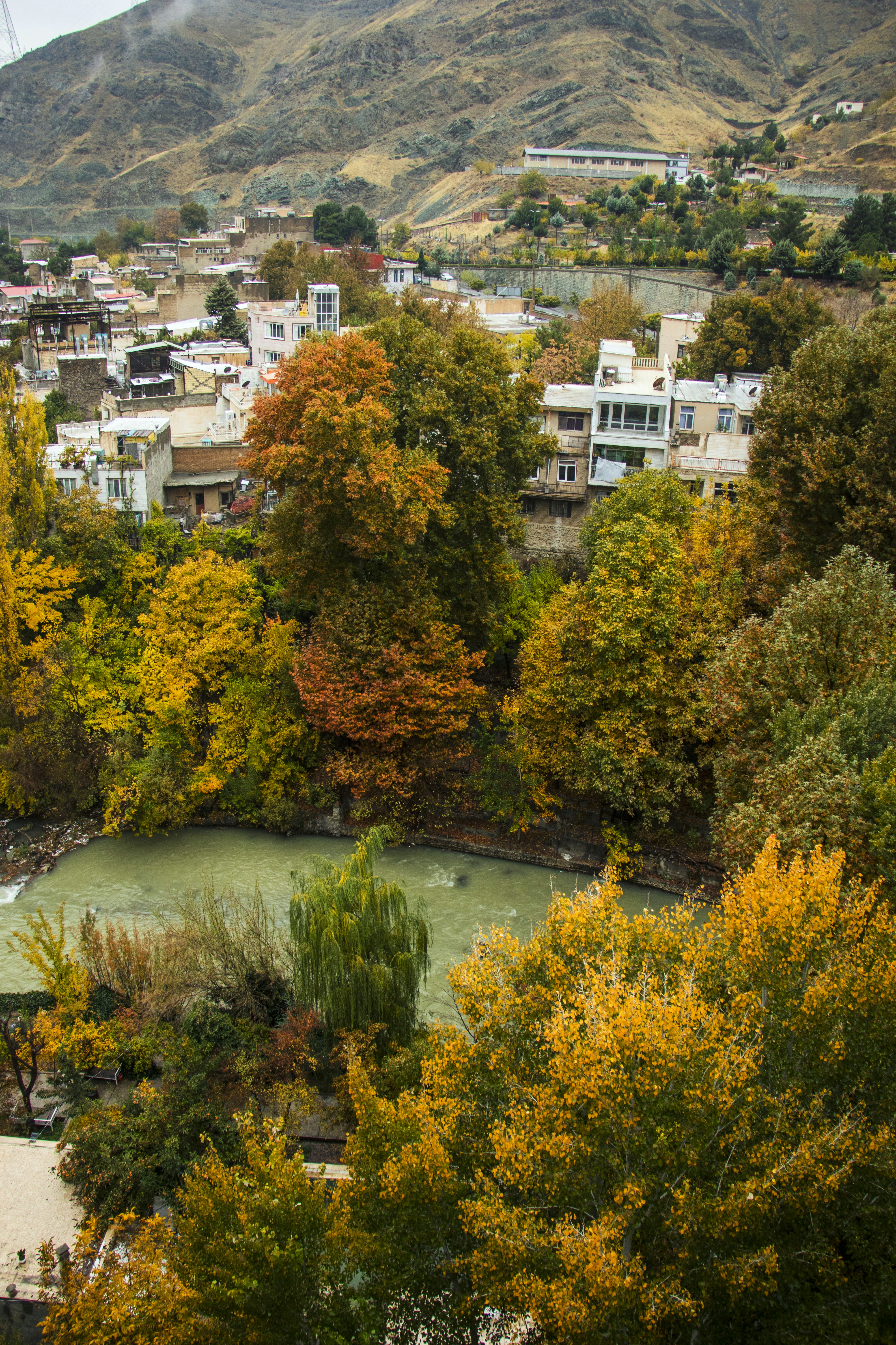 Vibrant autumn foliage surrounds a tranquil river, reflecting the rich colors of the season. The landscape showcases a harmonious blend of nature and urban life.