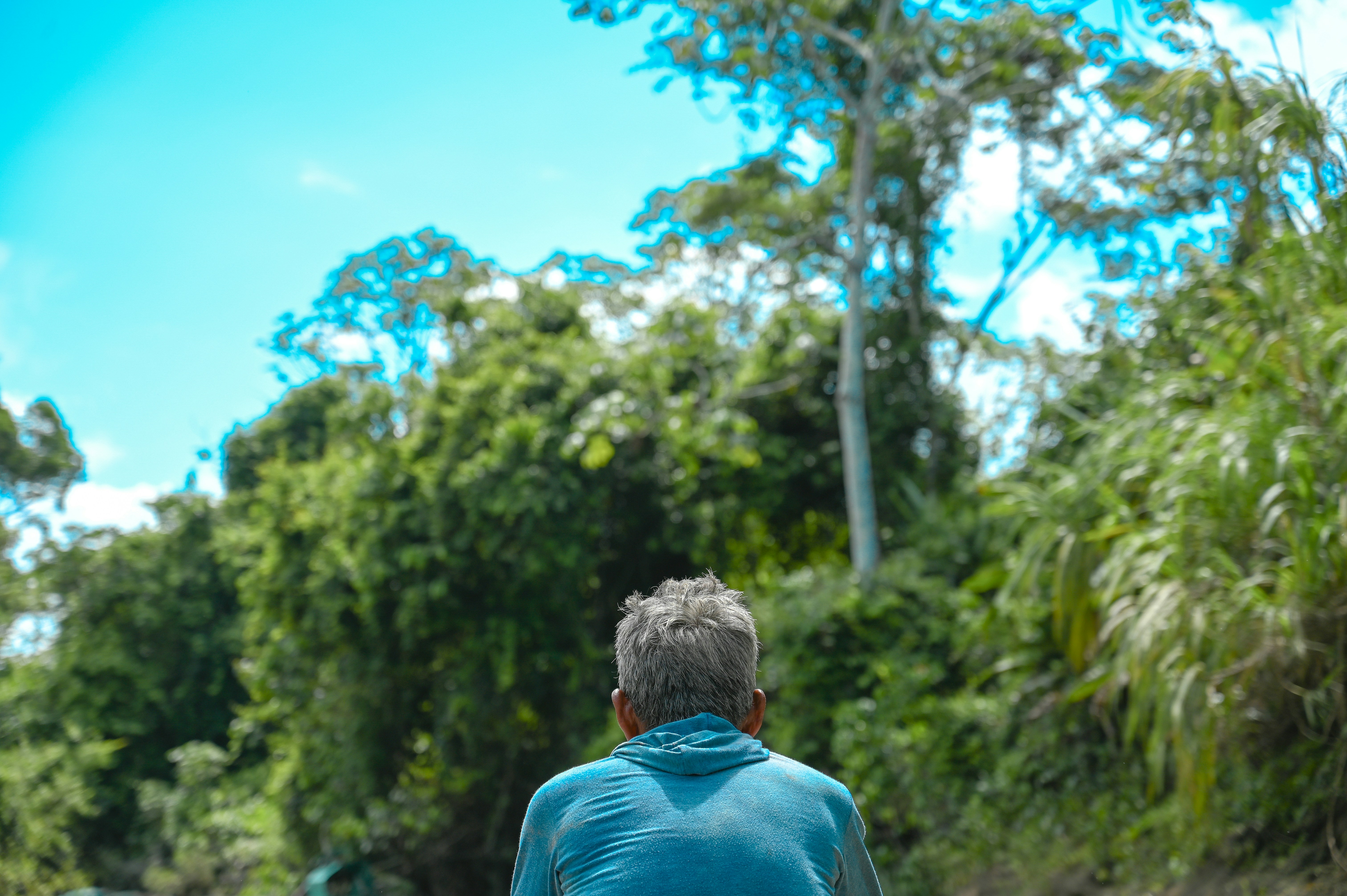 A man looking at trees photo – Free Green Image on Unsplash